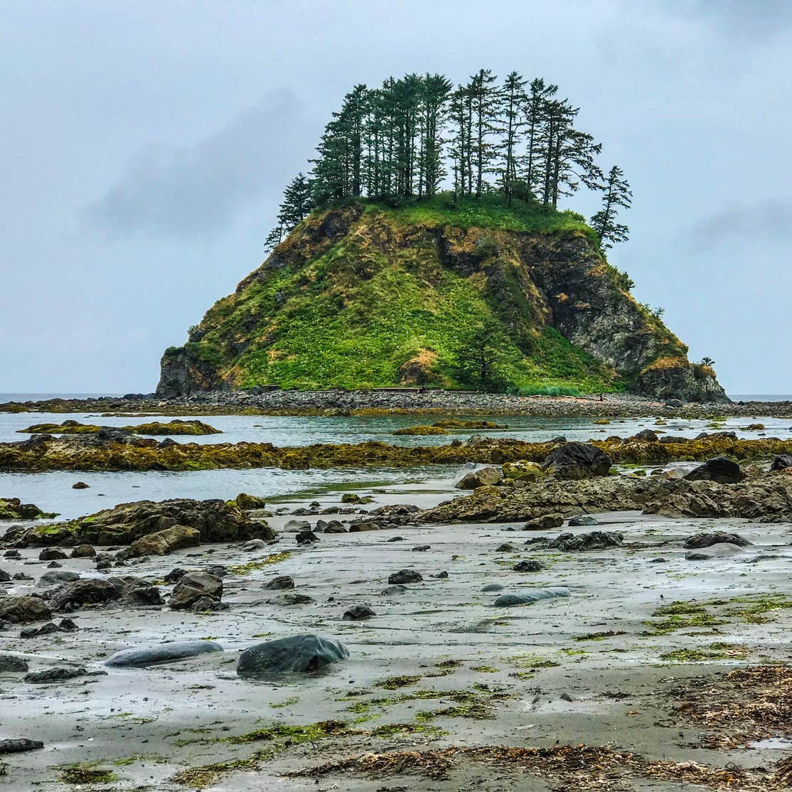 Cape Alava Campground Camping | Ozette, WA | The Dyrt