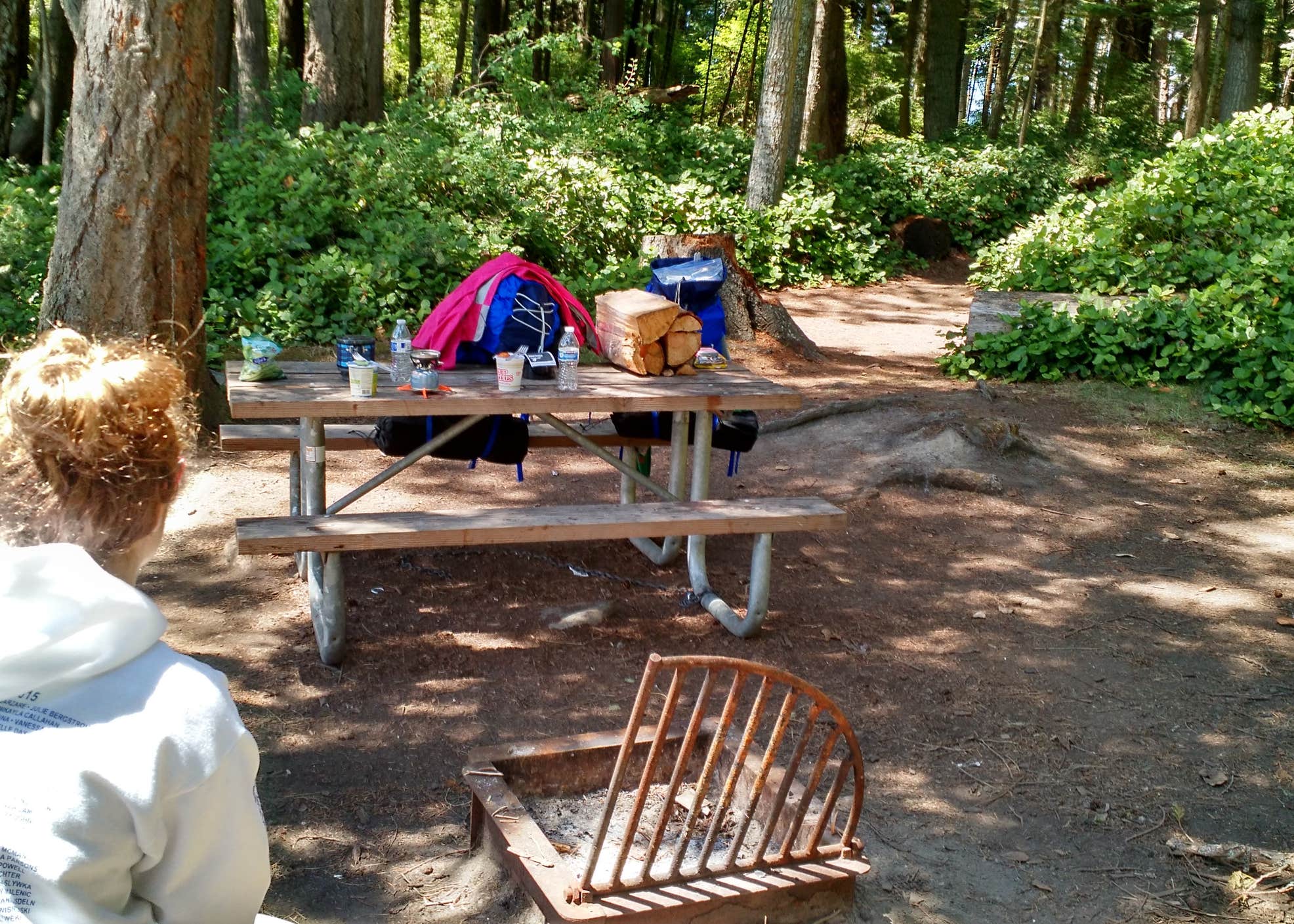 Obstruction Pass State Park Camping | The Dyrt