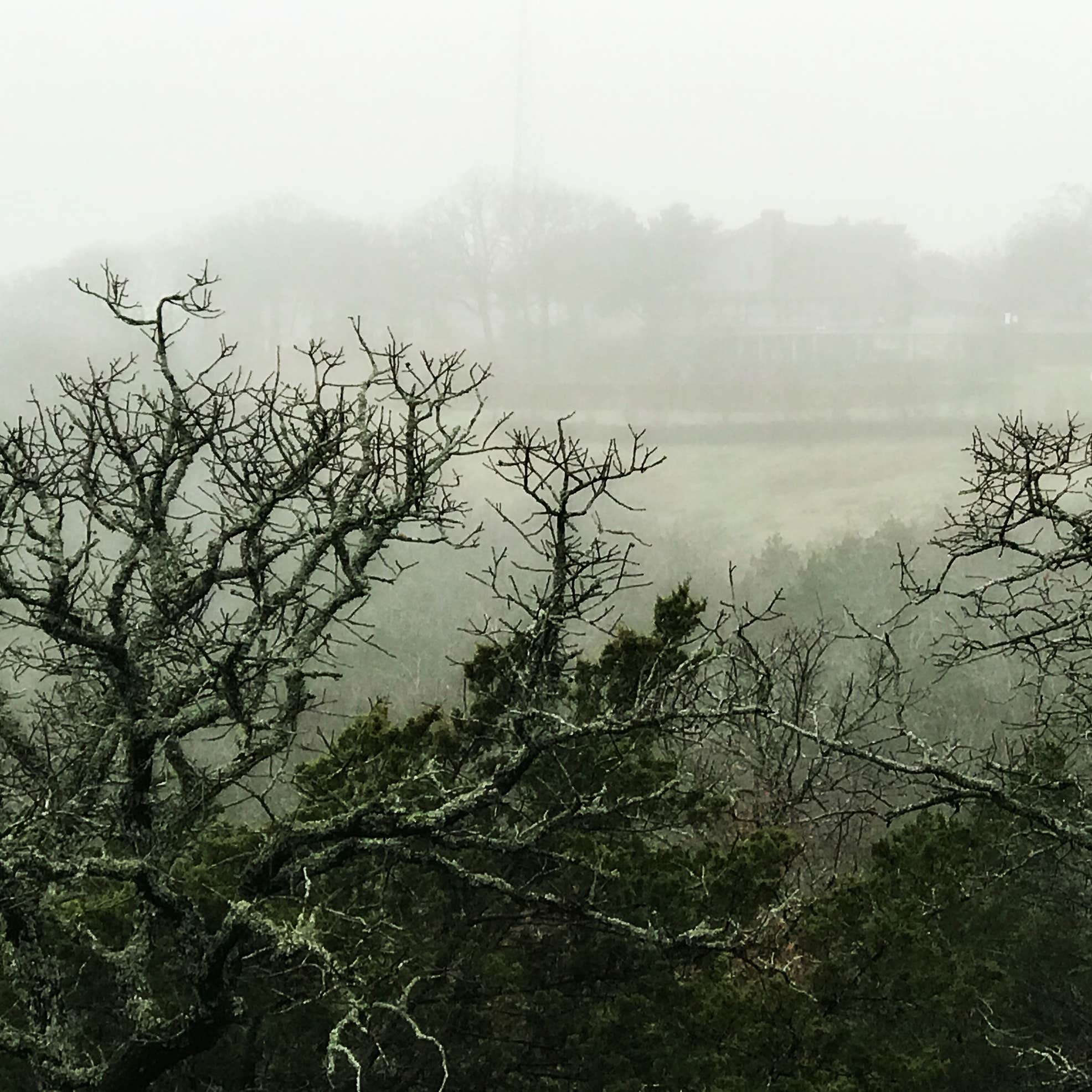 Eagle’s Roost Campsite Camping | The Dyrt