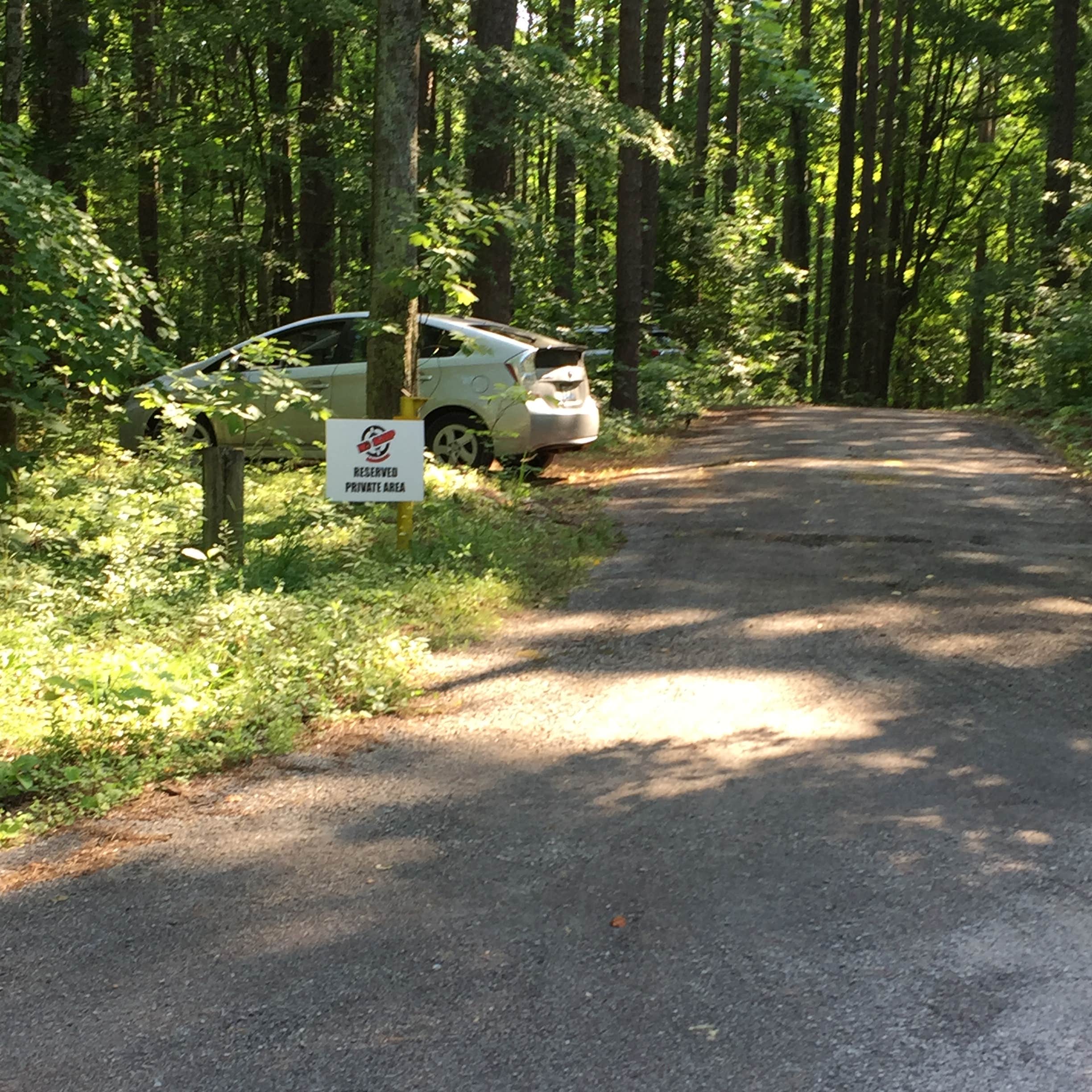 Pine Ridge Camping | The Dyrt