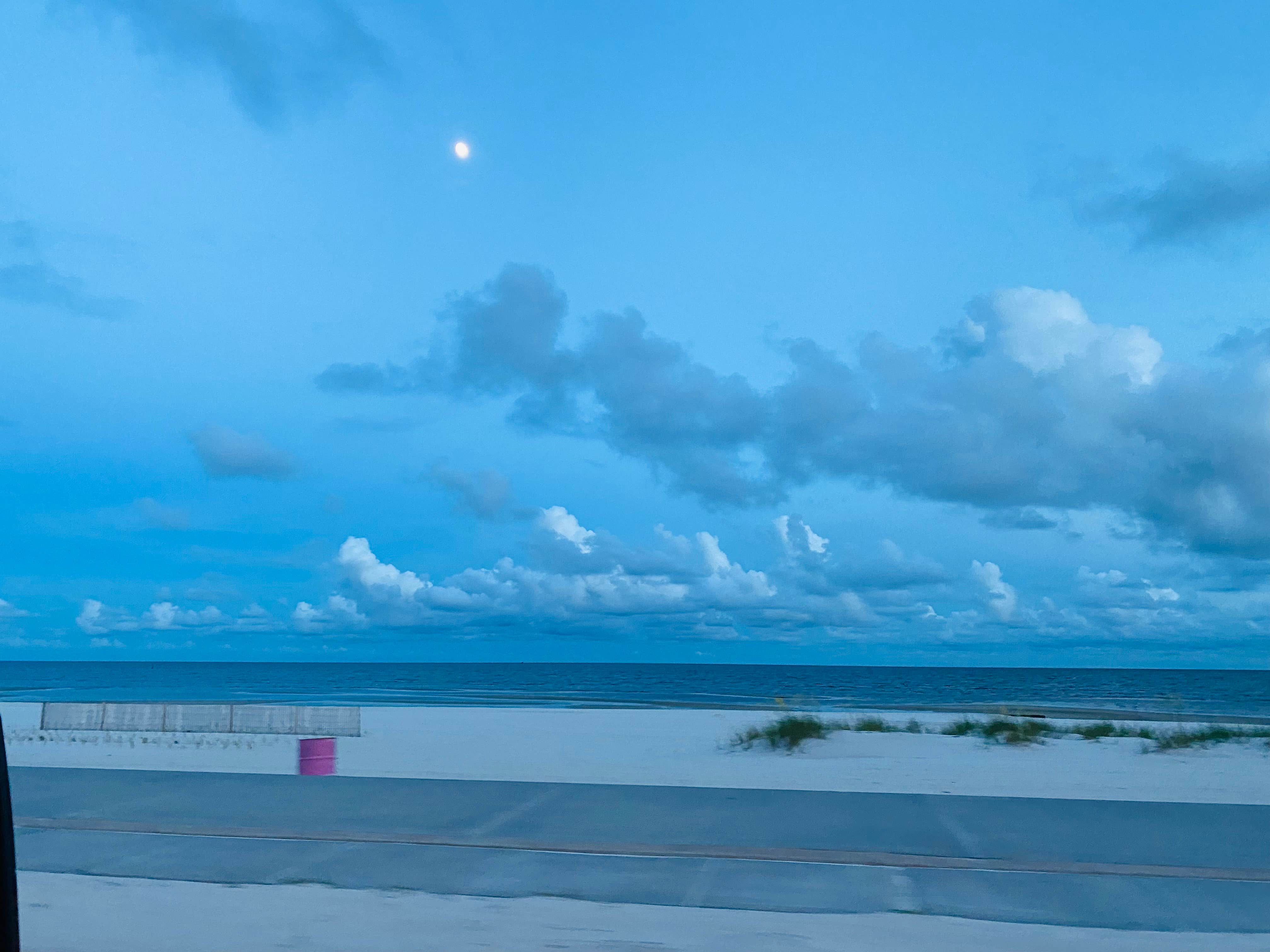 Gulf Beach RV Resort Camping | The Dyrt