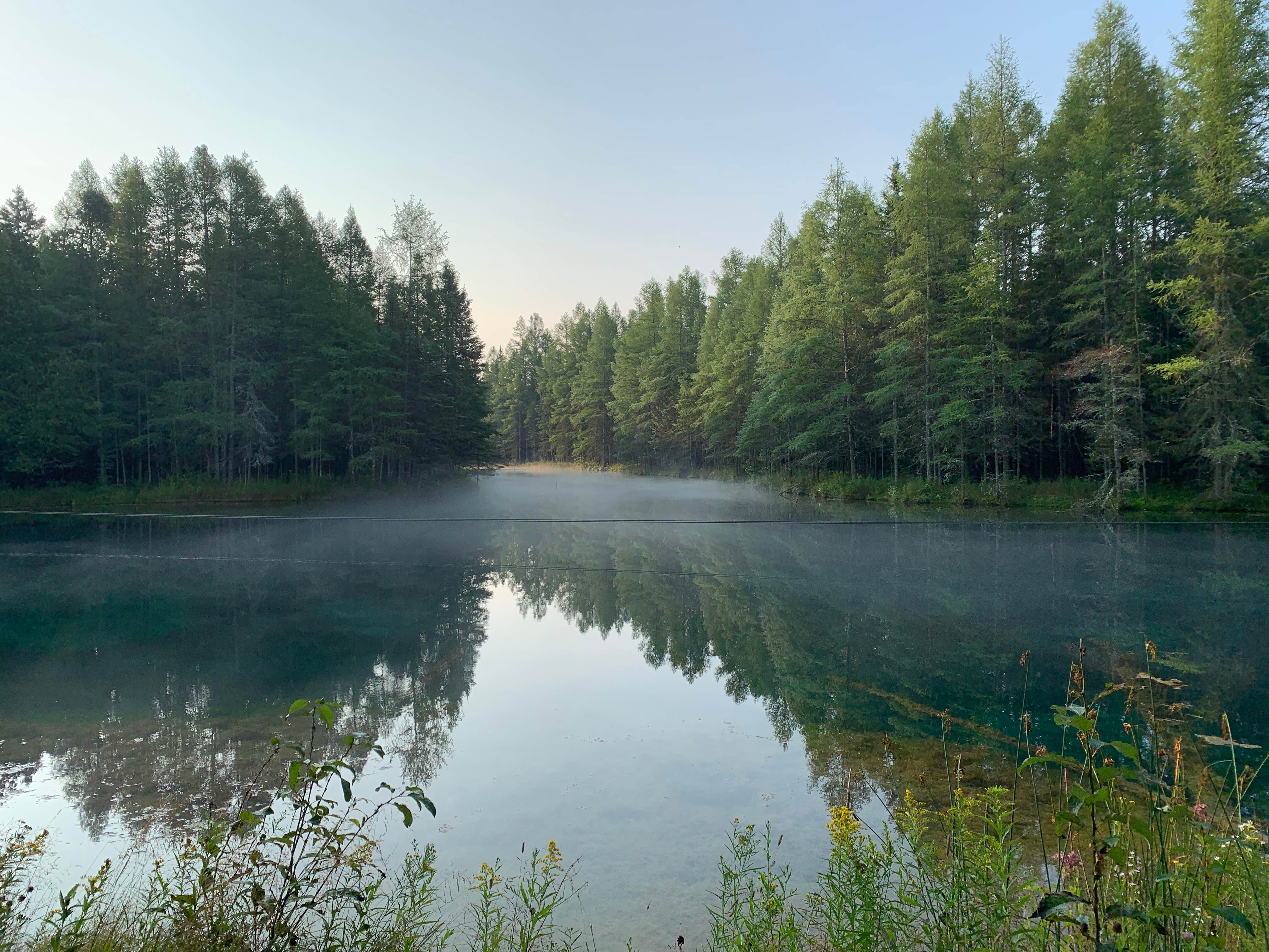 Best camping in Hiawatha National Forest | The Dyrt