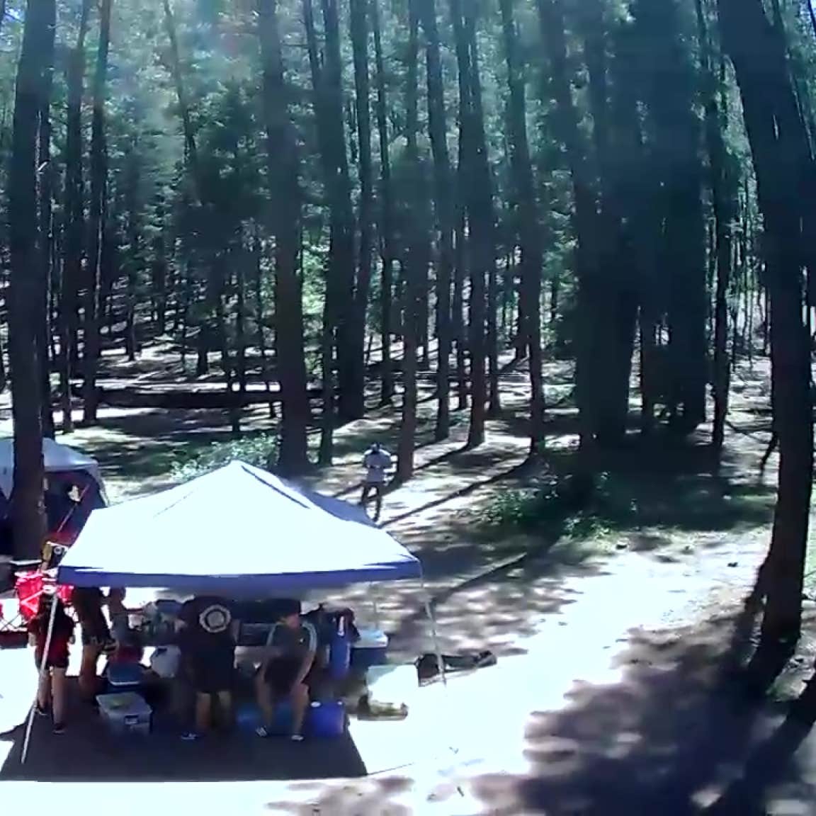 Christopher Creek Camping | Kohls Ranch, Arizona