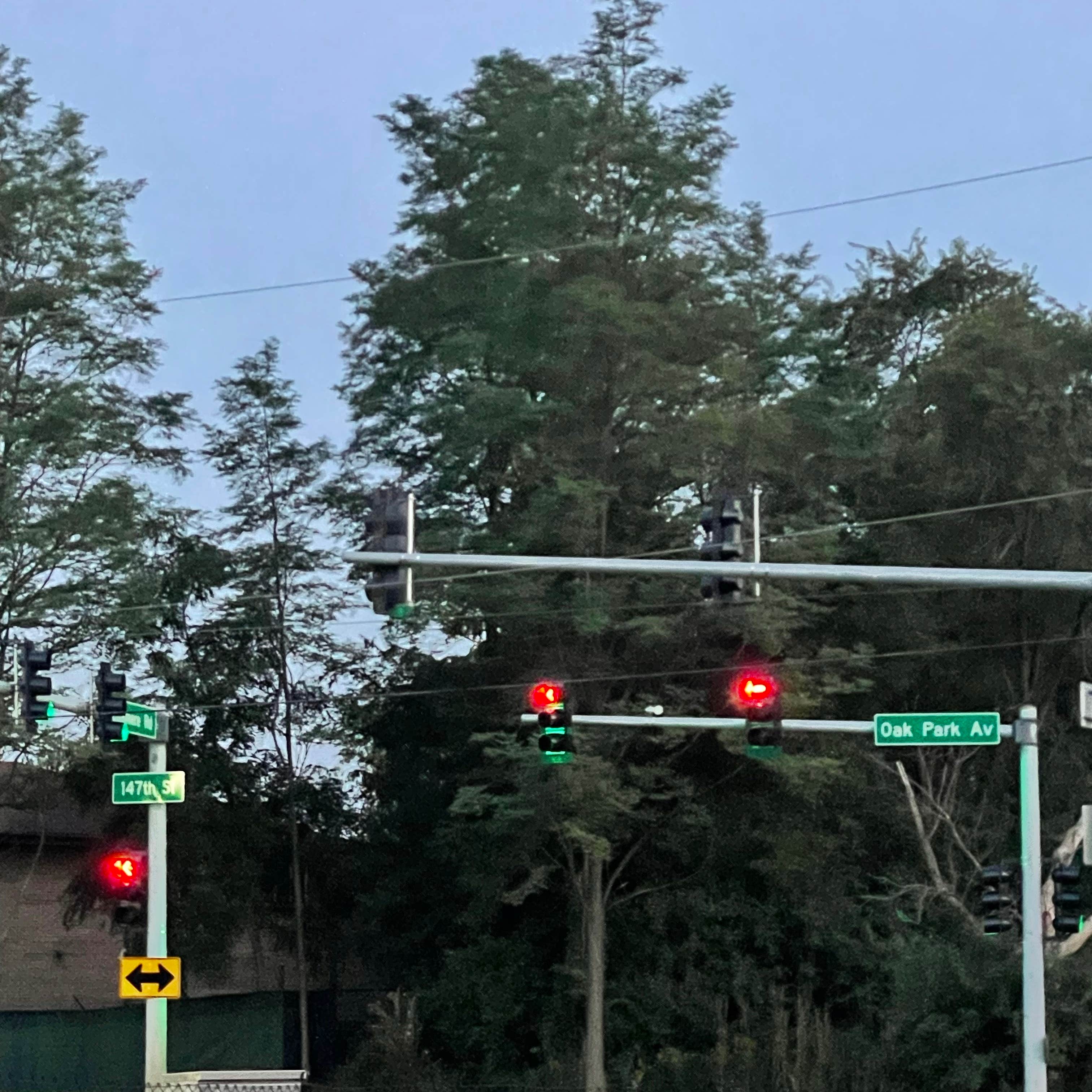 Camp Sullivan Camping | The Dyrt