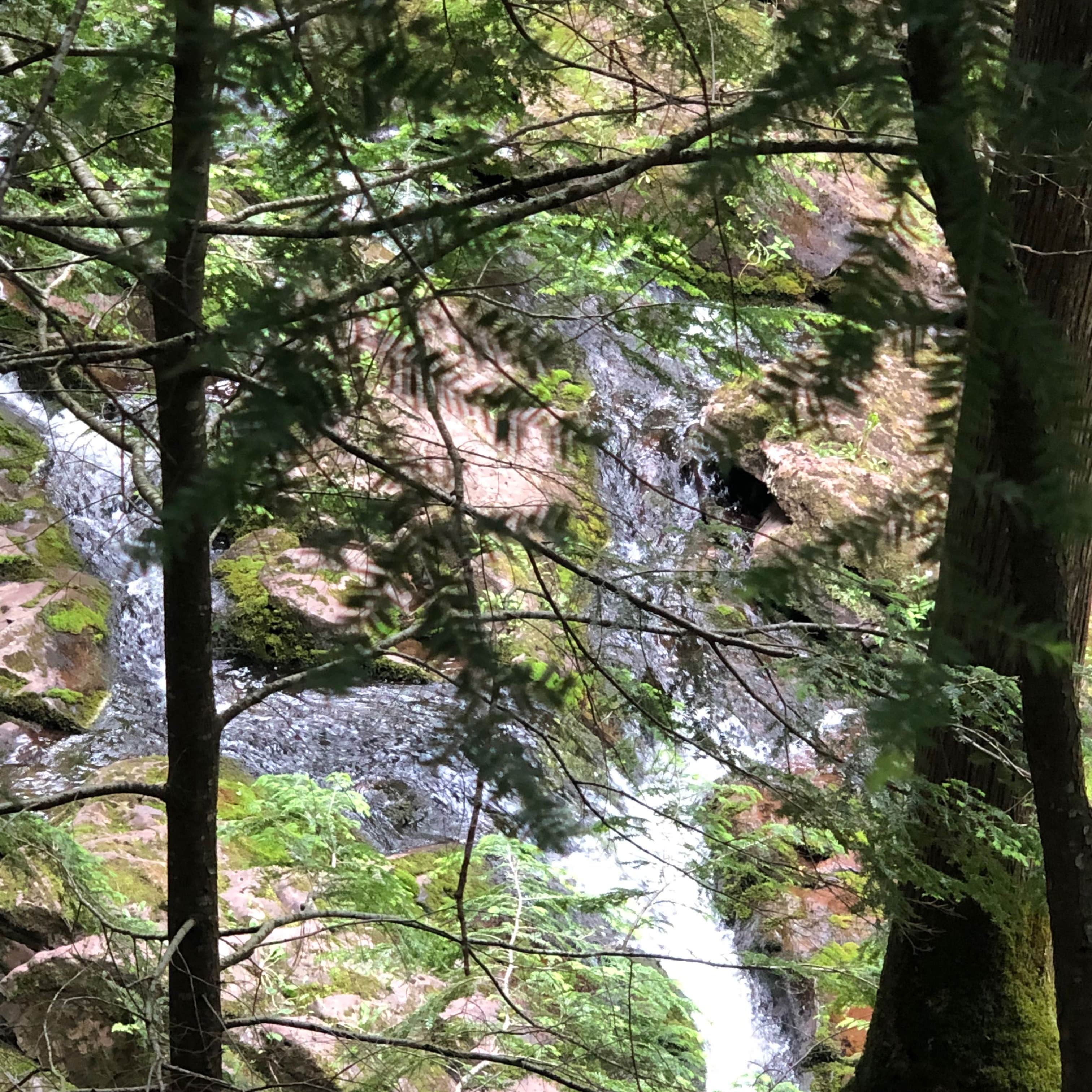 Union River Outpost Camping | The Dyrt