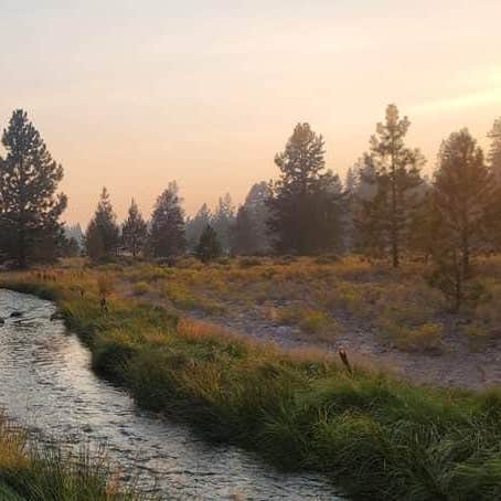 Prairie Campground | La Pine, Oregon