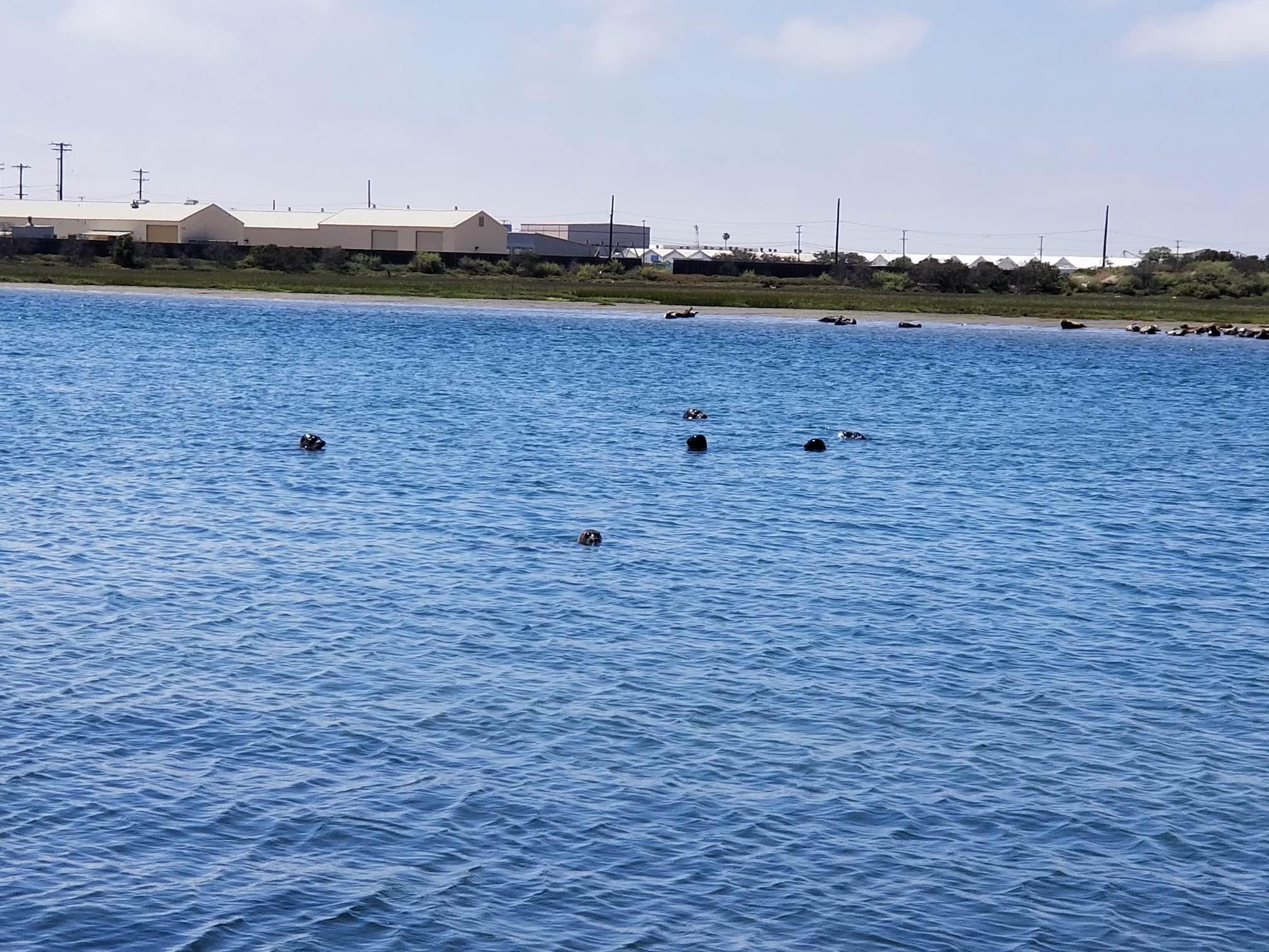 Point Mugu Recreation Facility Camping | Port Hueneme, CA