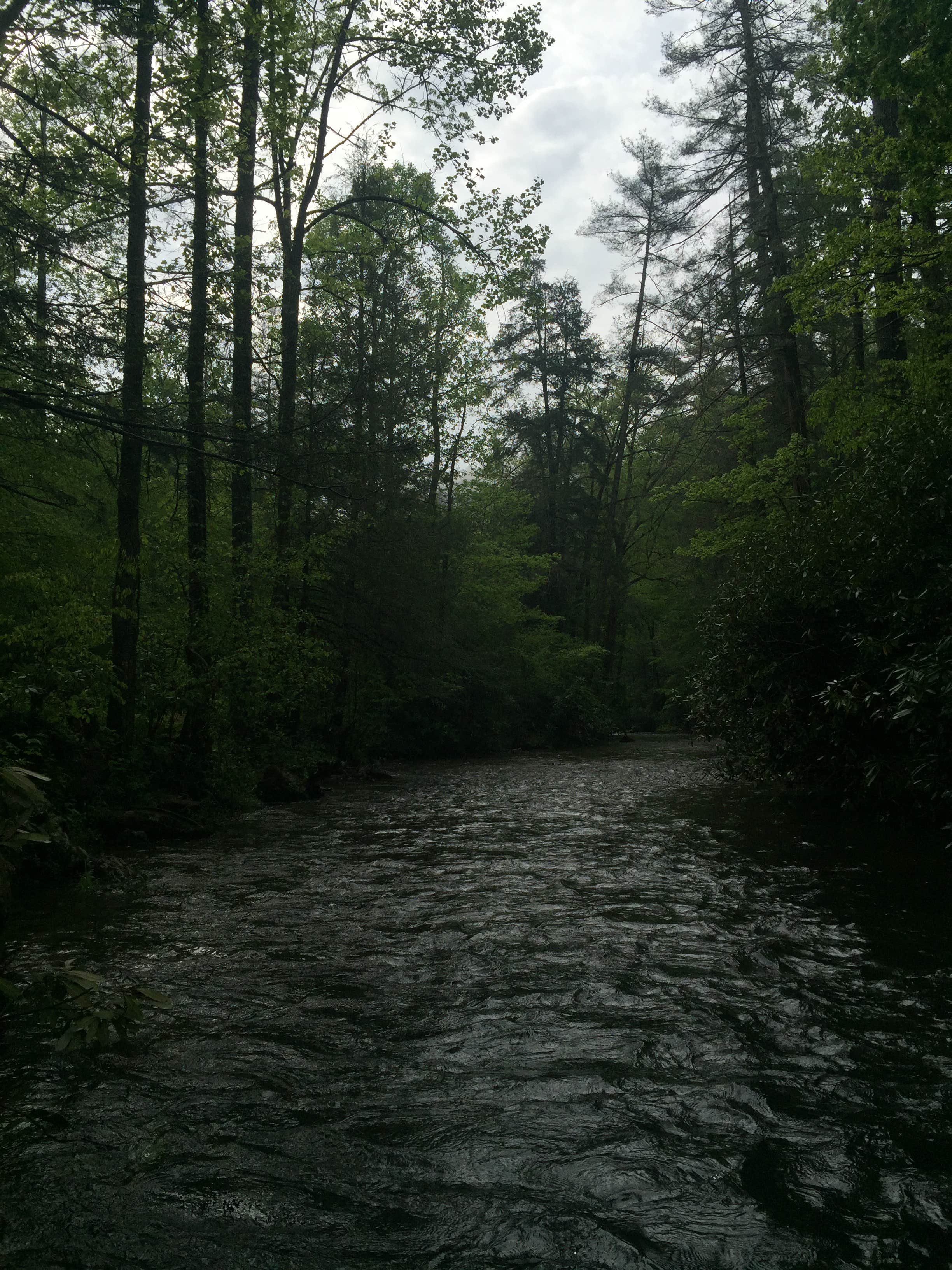 Mulky Campground | Suches, GA