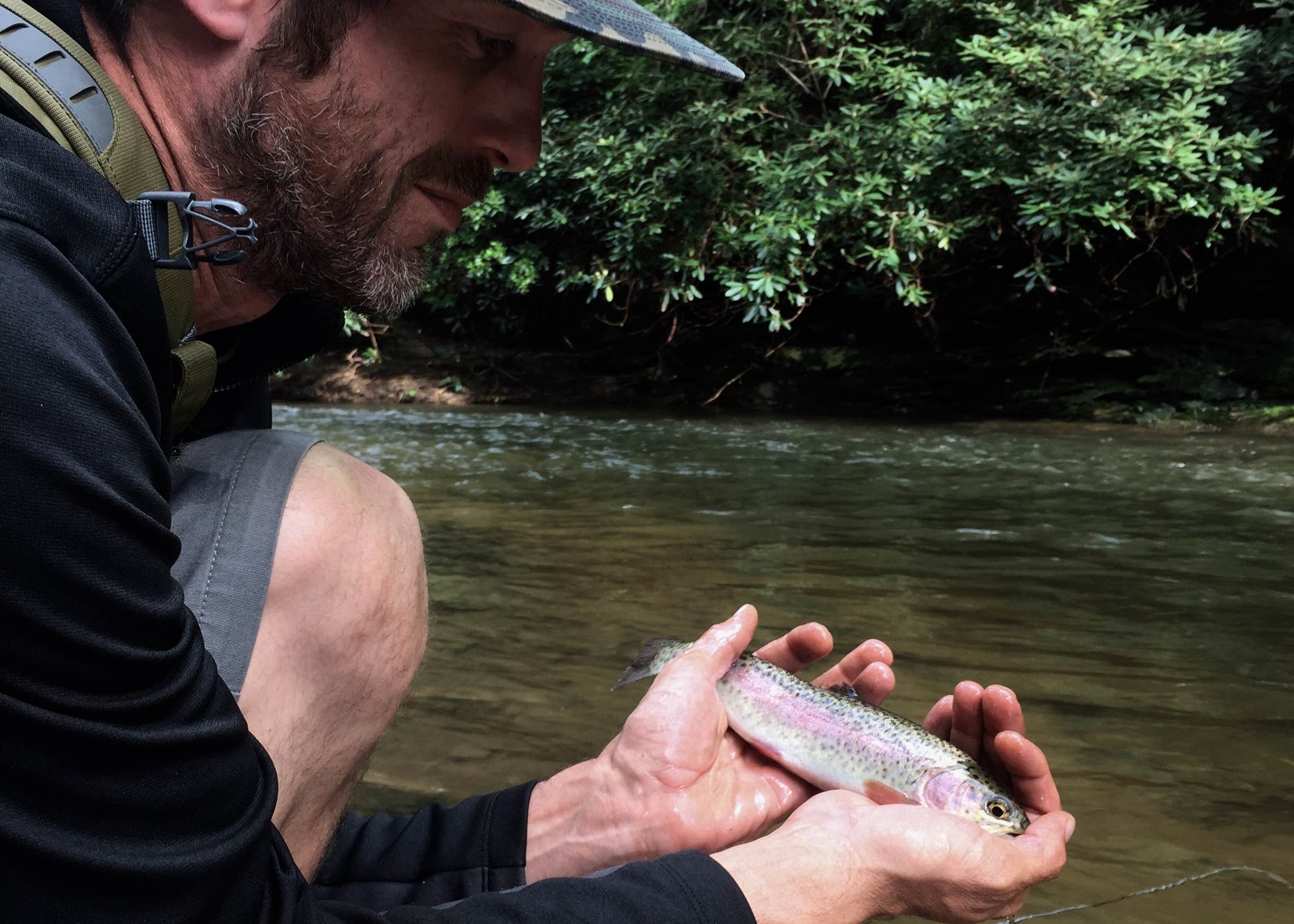 Mulky Campground Camping | The Dyrt