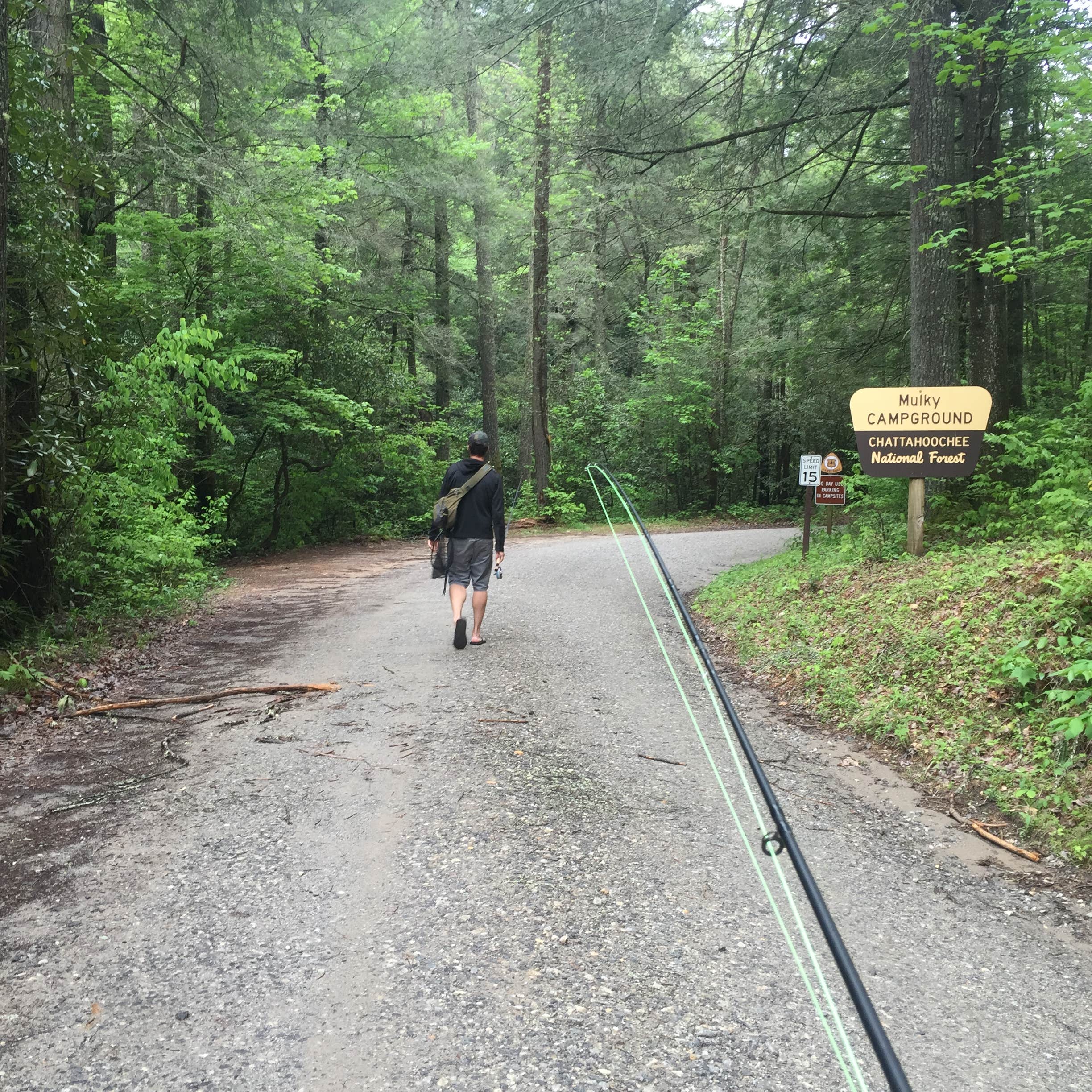 Mulky Campground Camping | The Dyrt