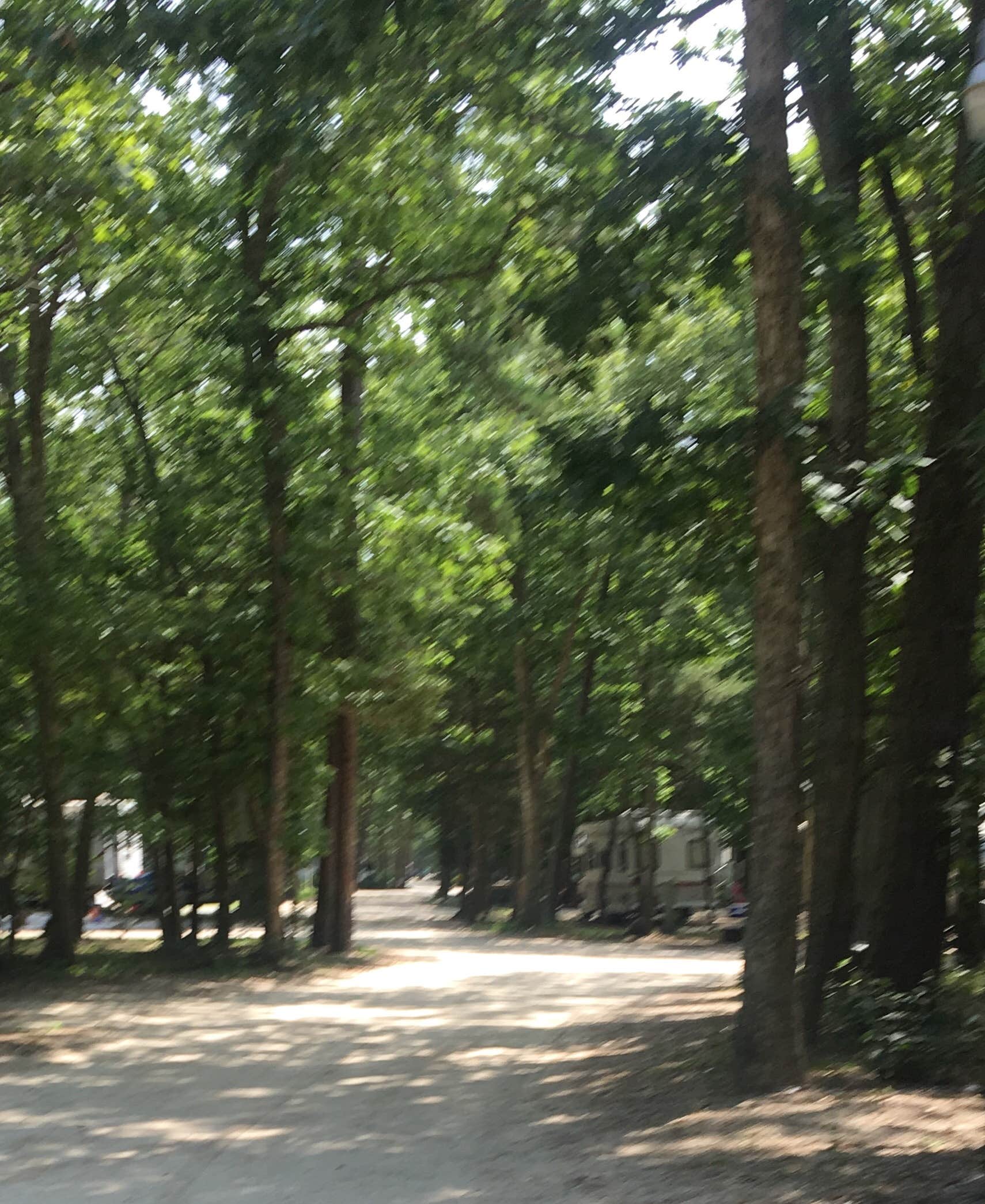 Thousand Trails Sea Pines Camping | Swainton, NJ