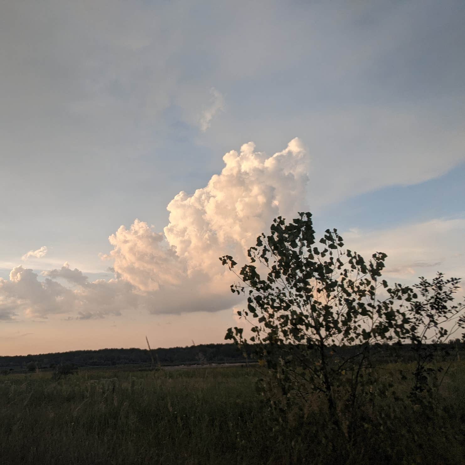 Sunrise Campground — Richard Bong State Recreation Area | Burlington, WI