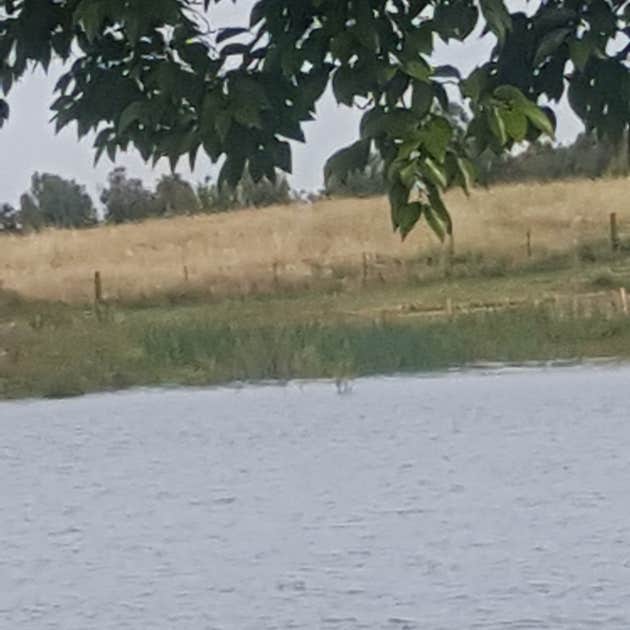 Modesto Reservoir Camping | Waterford, California