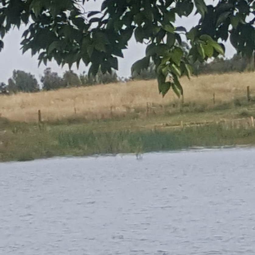 Modesto Reservoir Camping | Waterford, California