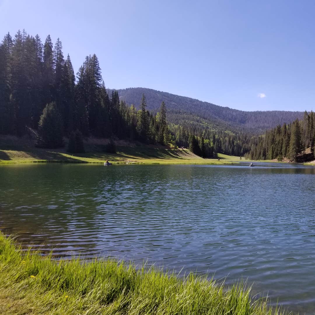 Anderson Meadow Campground (fishlake Nf, Ut) Camping | The Dyrt