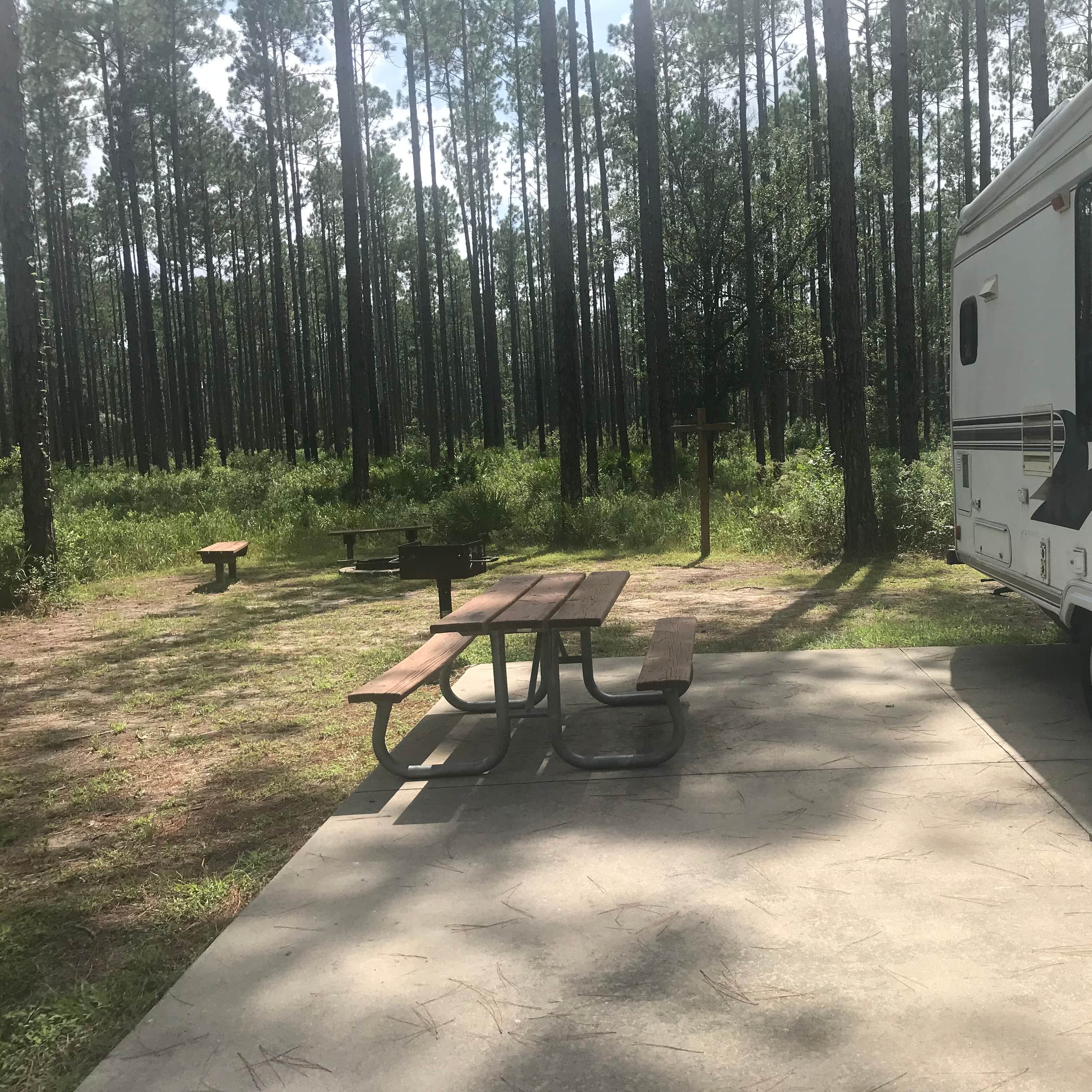 Cary State Forest Campground | Bryceville, Florida