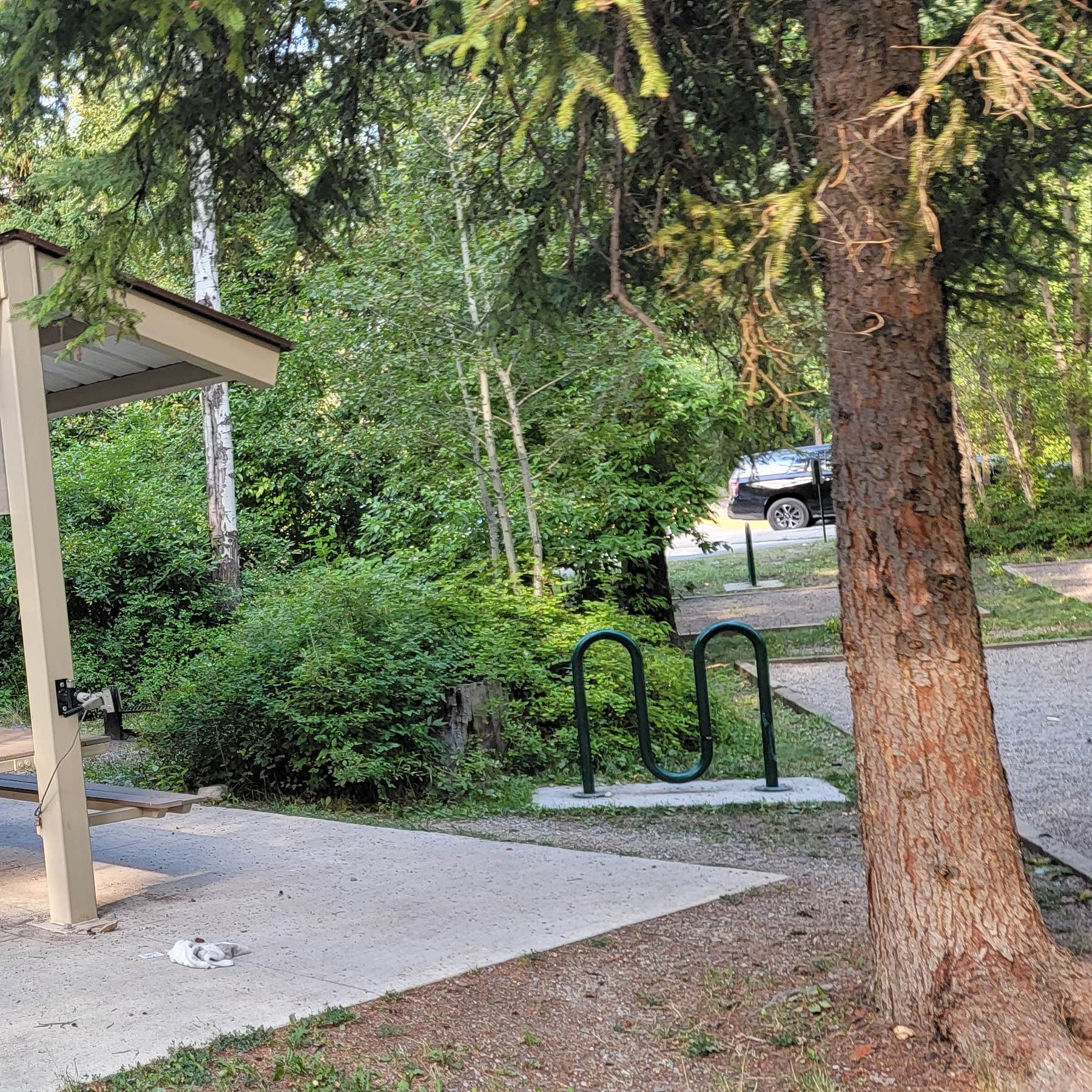 Whitefish Lake State Park Camping | The Dyrt