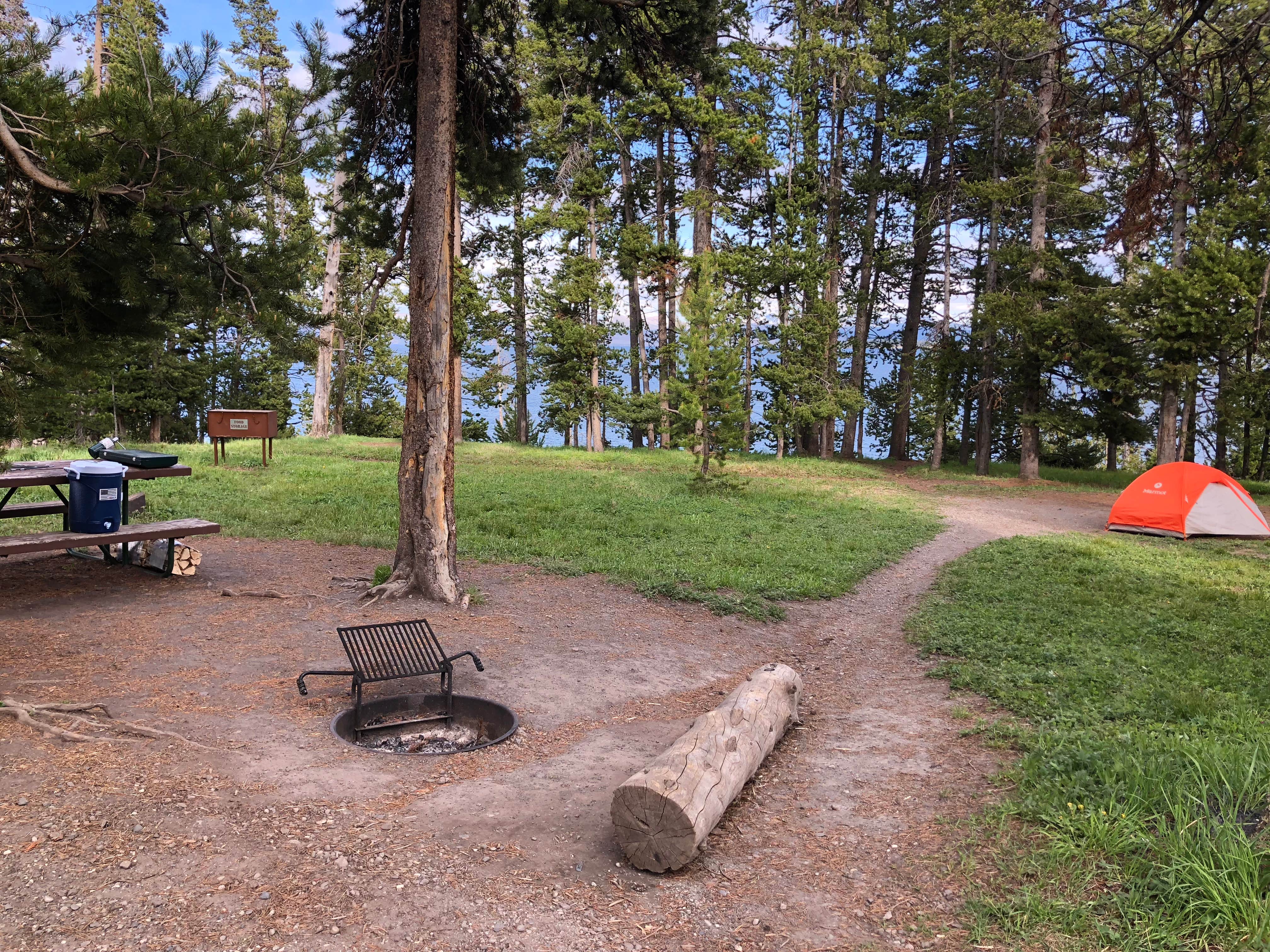 Bridge Bay Campground — Yellowstone National Park | West Yellowstone ...