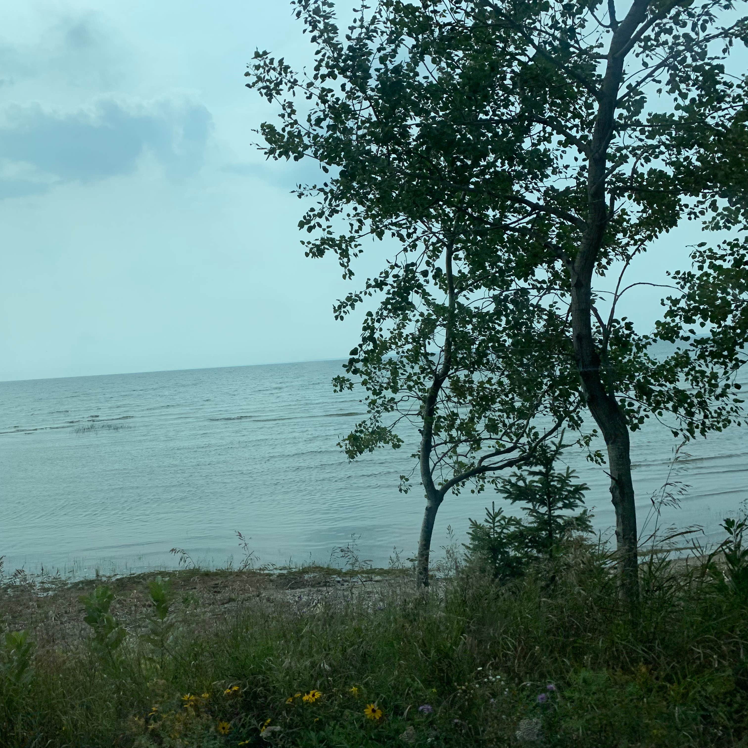 Peninsula Point Lighthouse Access Road - Dispersed Camping | The Dyrt