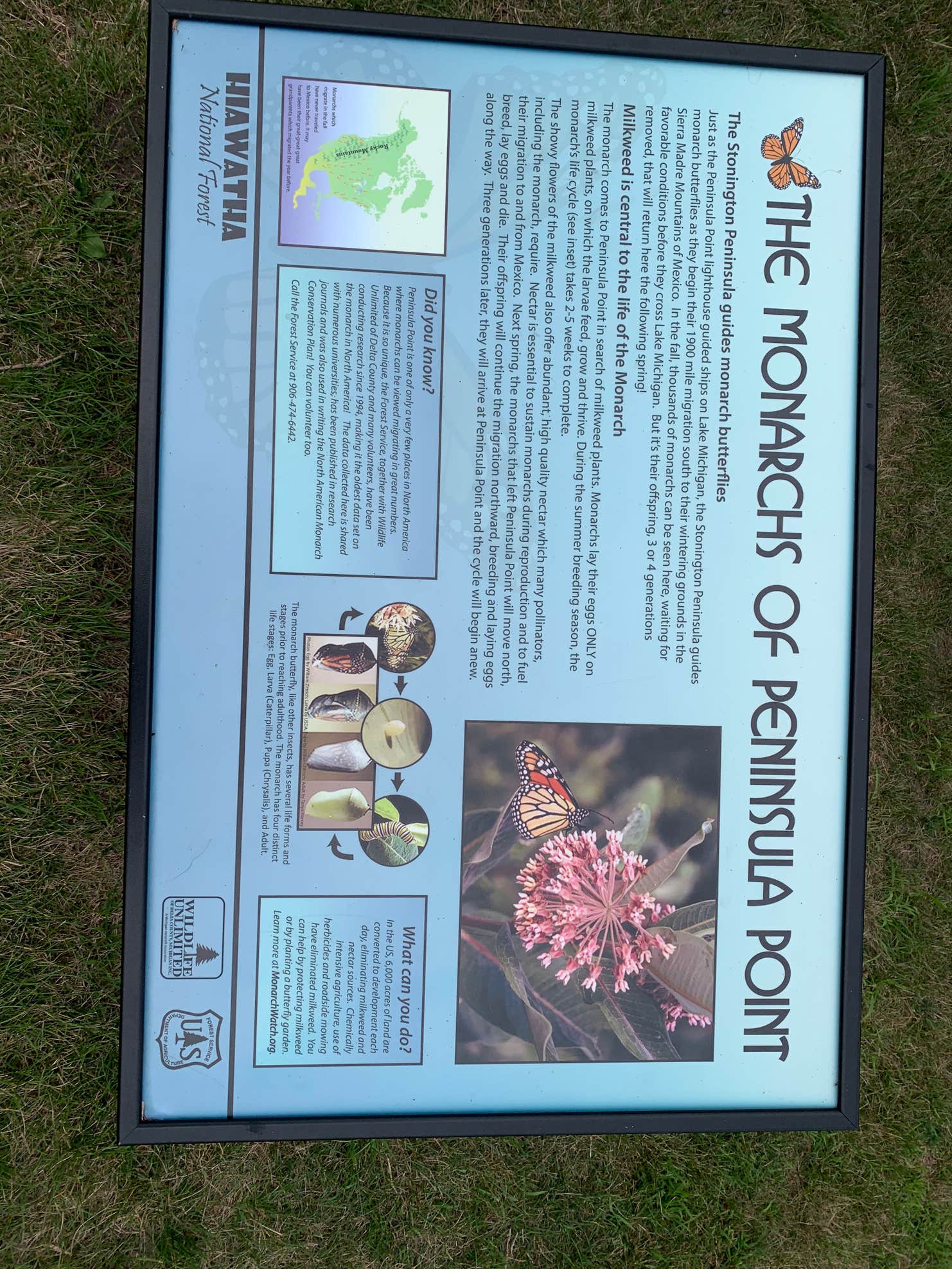 Peninsula Point Lighthouse Access Road - Dispersed Camping | The Dyrt