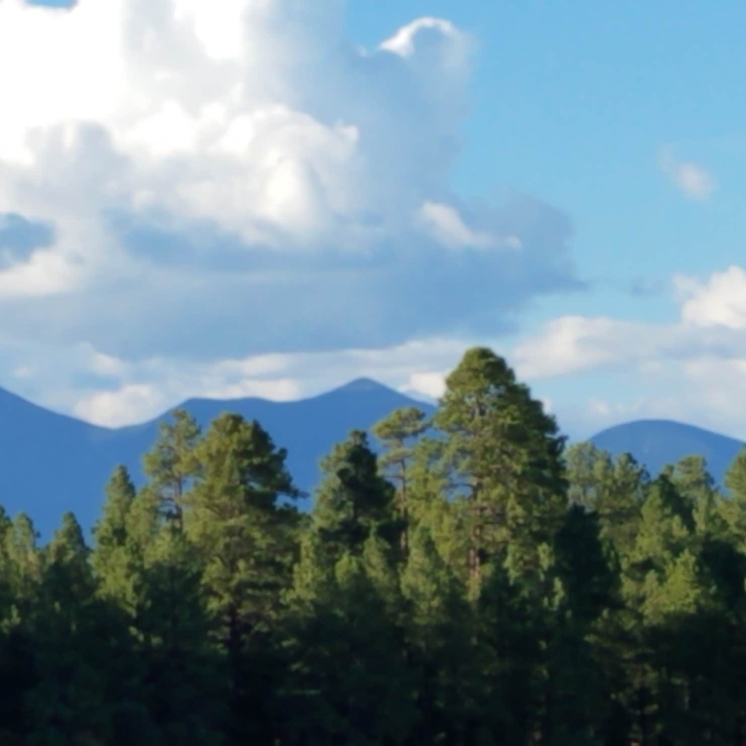 Fort Tuthill Luke AFB Recreation Area Camping | Flagstaff, AZ