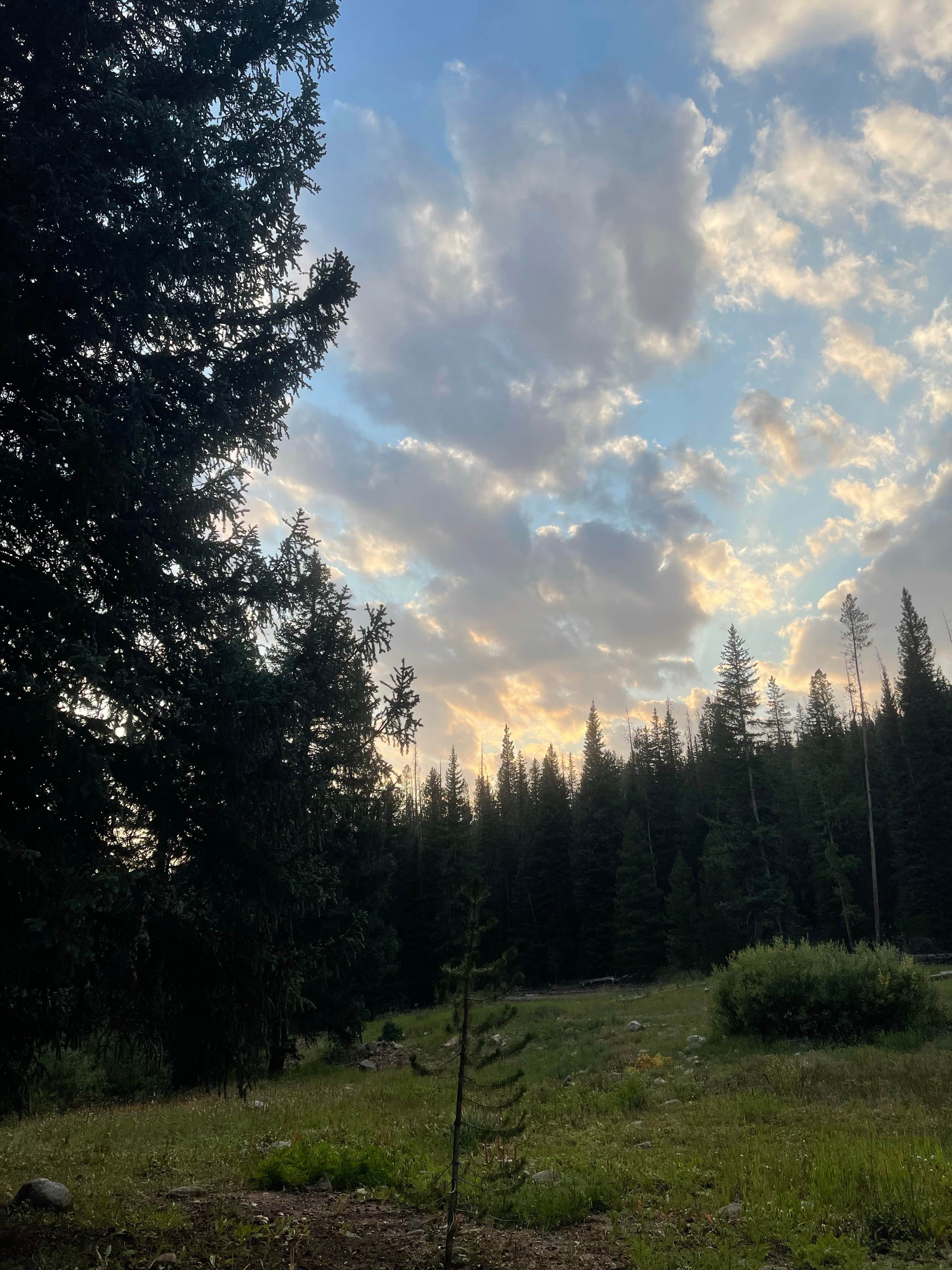 Red Sandstone - Primitive Dispersed Camping | Vail, CO