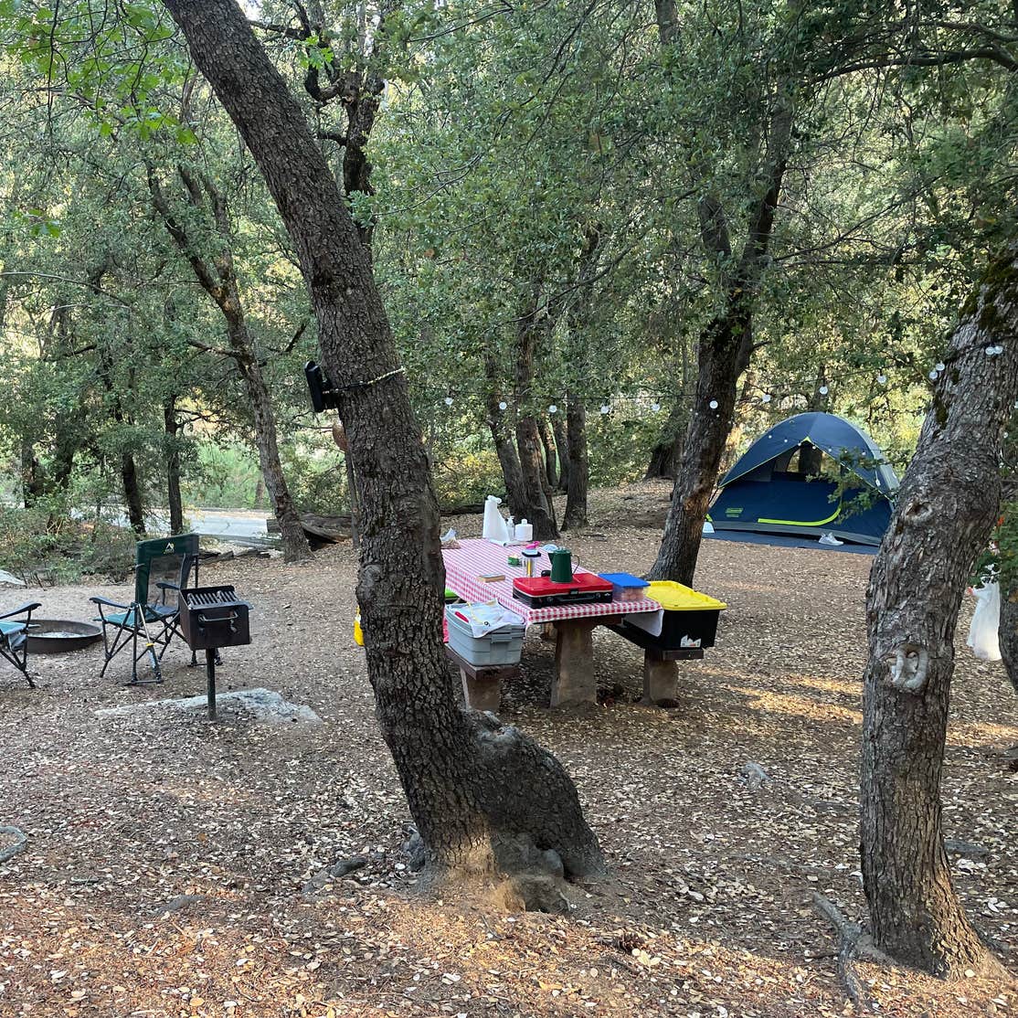 Fry Creek Campground | Palomar Mountain, California