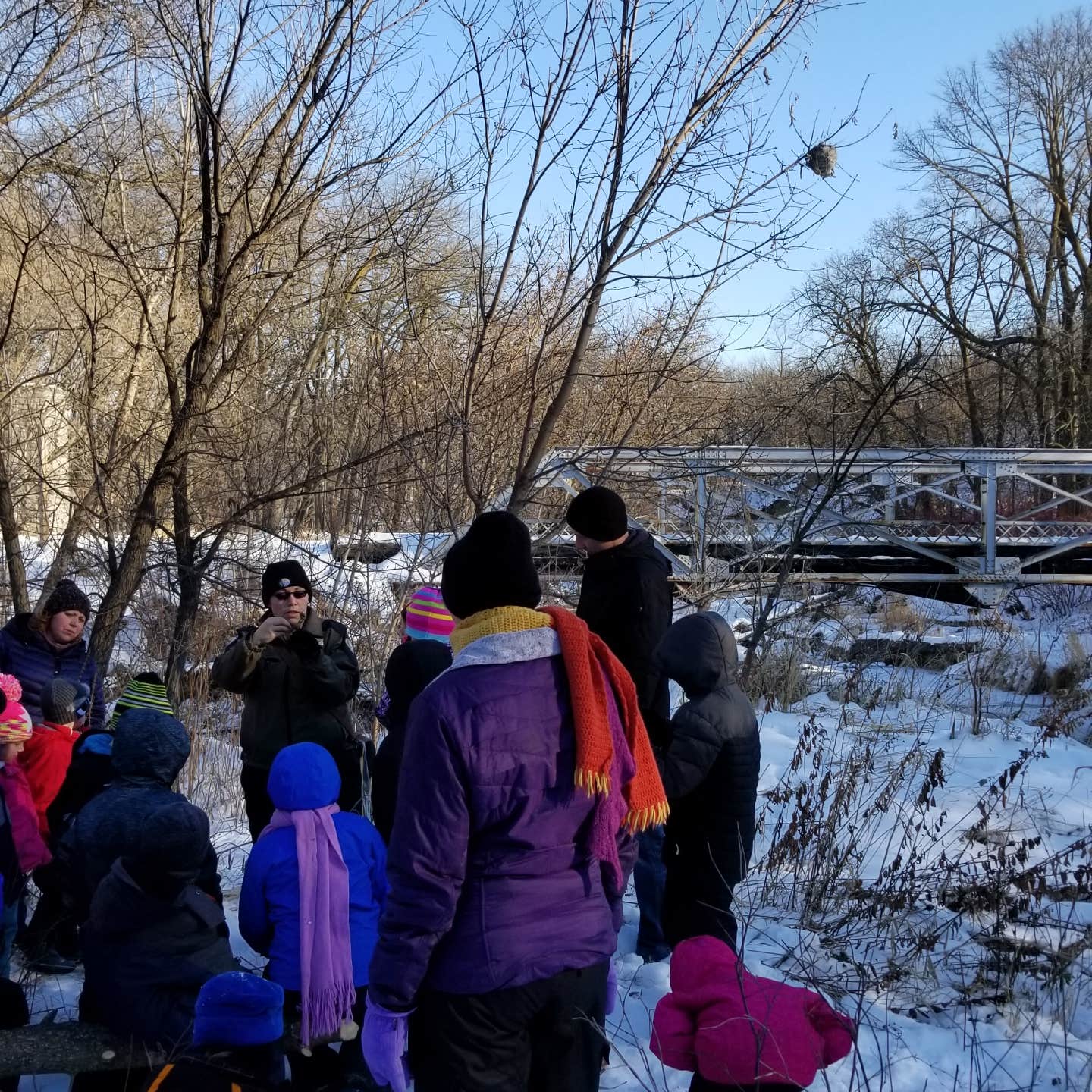 Turtle River State Park Camping | The Dyrt