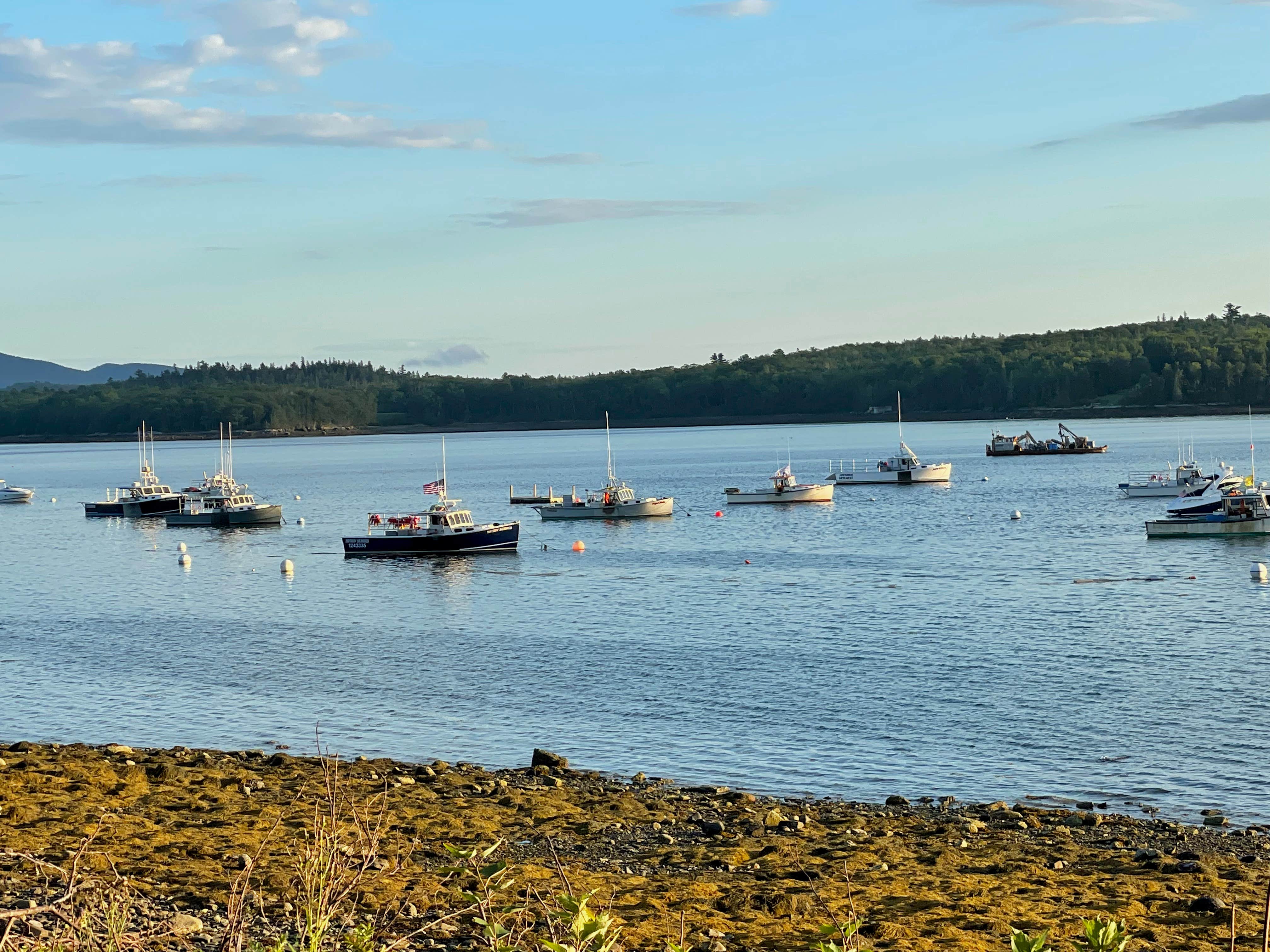 Best camping near Surry, Maine | The Dyrt