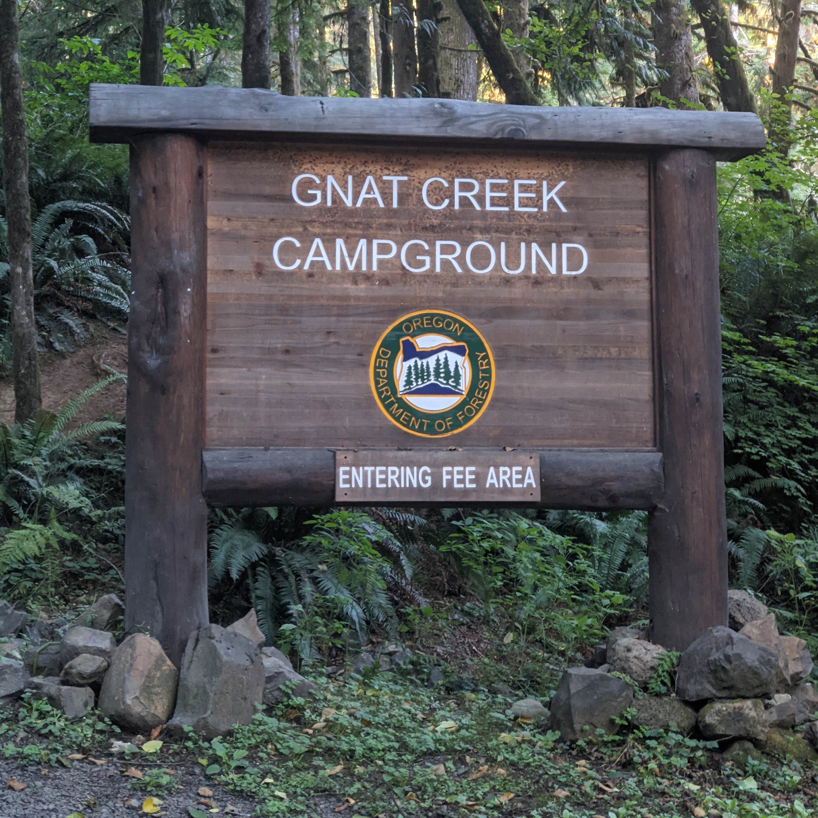 Clatsop State Forest Gnat Creek Campground Camping | Astoria, OR | The Dyrt