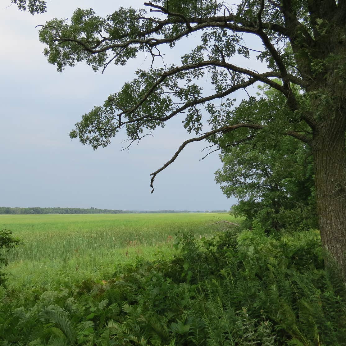 Ogechie Campground — Mille Lacs Kathio State Park | Isle, MN