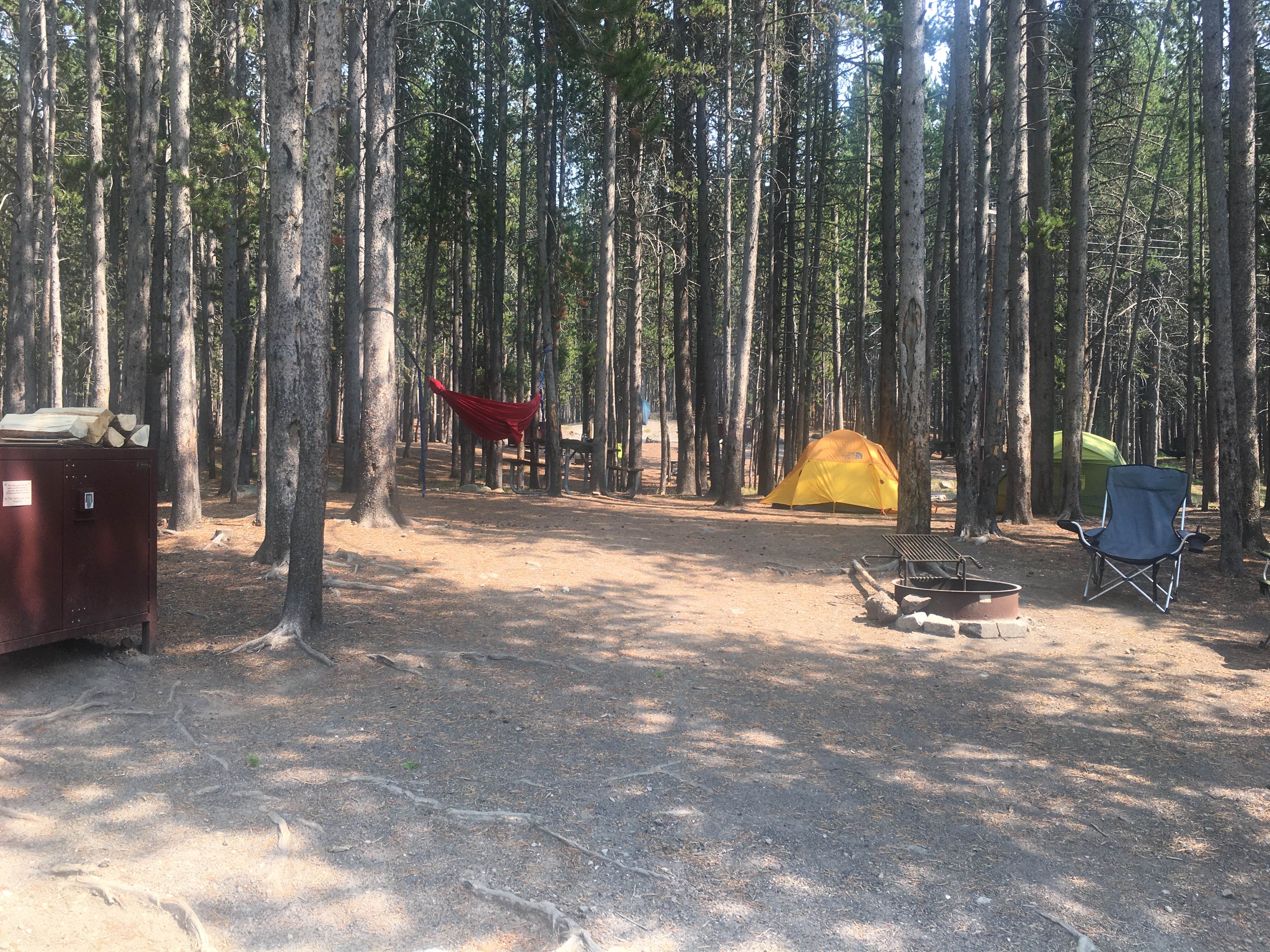 Best camping in Custer Gallatin National Forest | The Dyrt