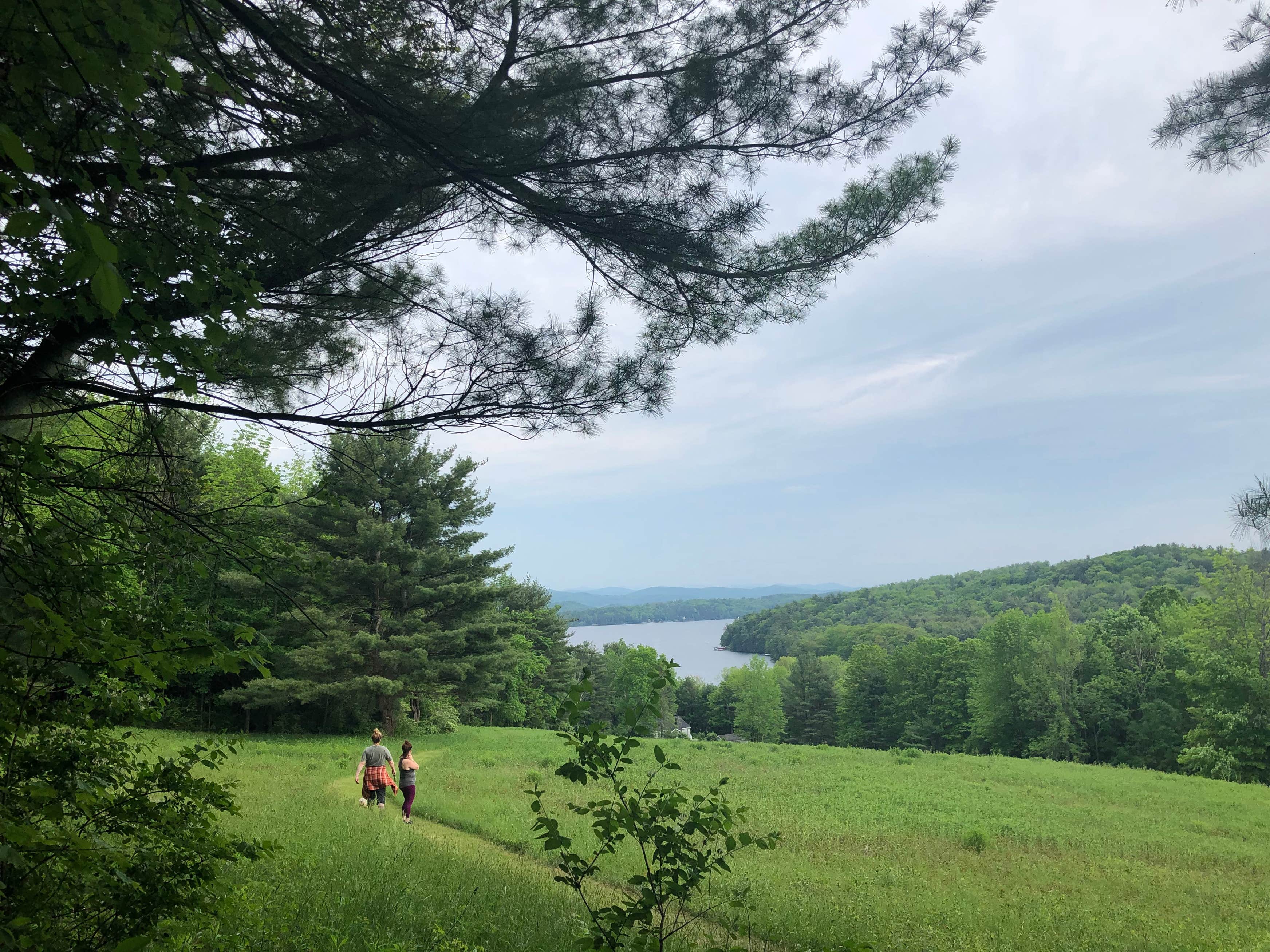 Bomoseen State Park Camping | The Dyrt