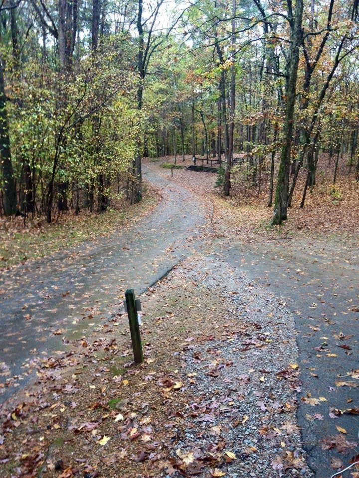 Pickwick Landing State Park Campground | Savannah, Tennessee