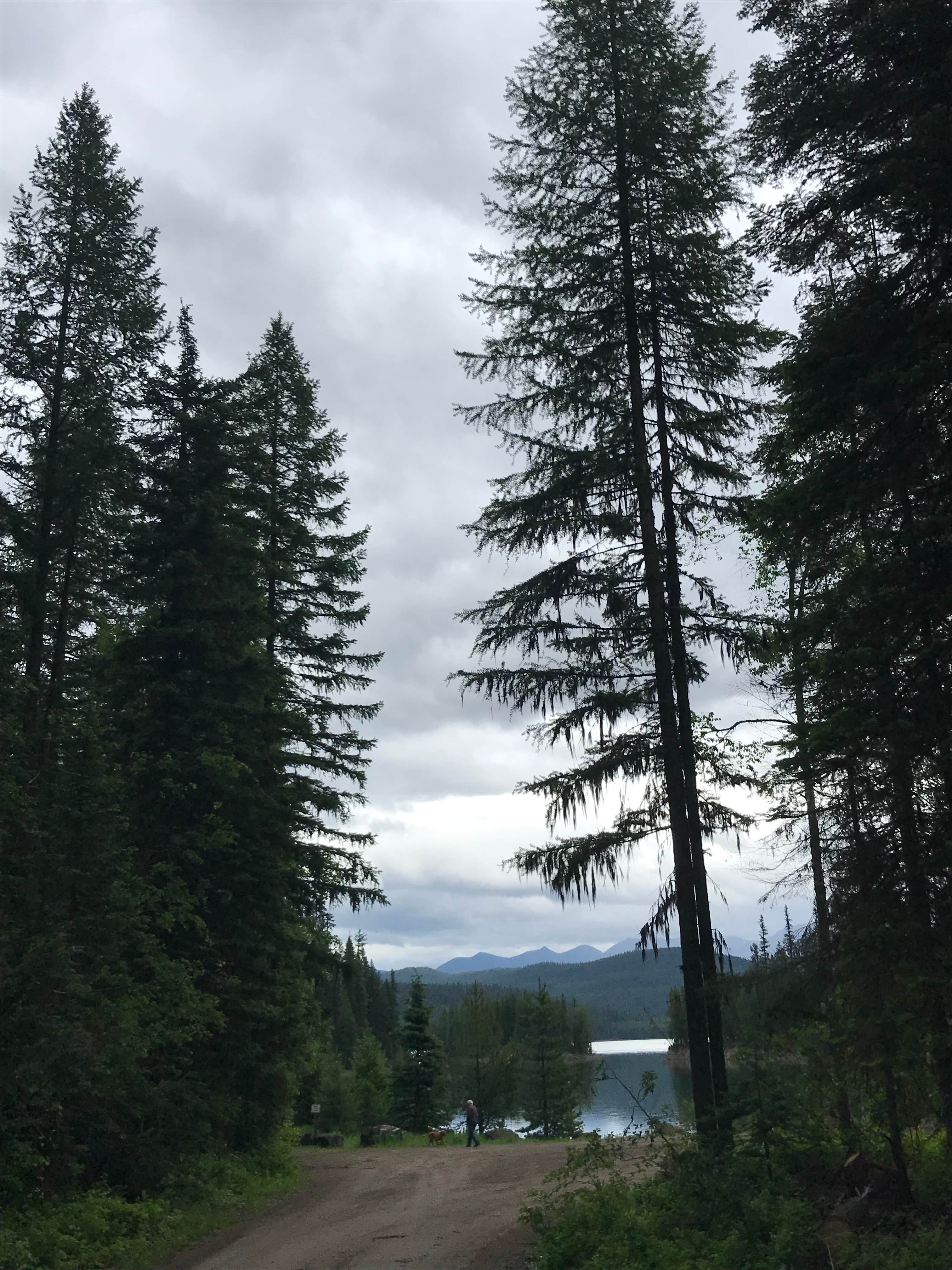 Lost Johnny Point Campground | Hungry horse, MT