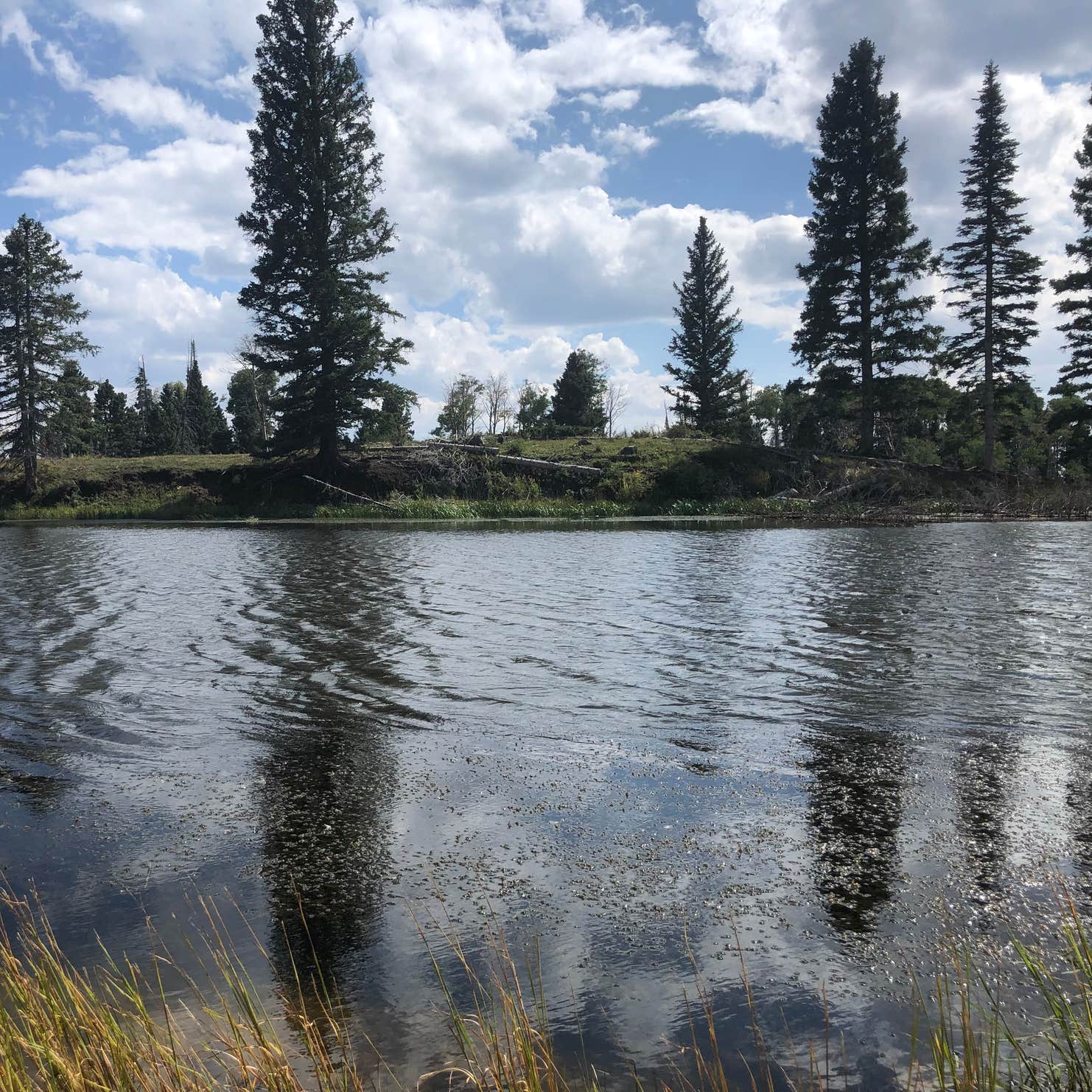 Lower Canjilon Lake Campground | Canjilon, New Mexico
