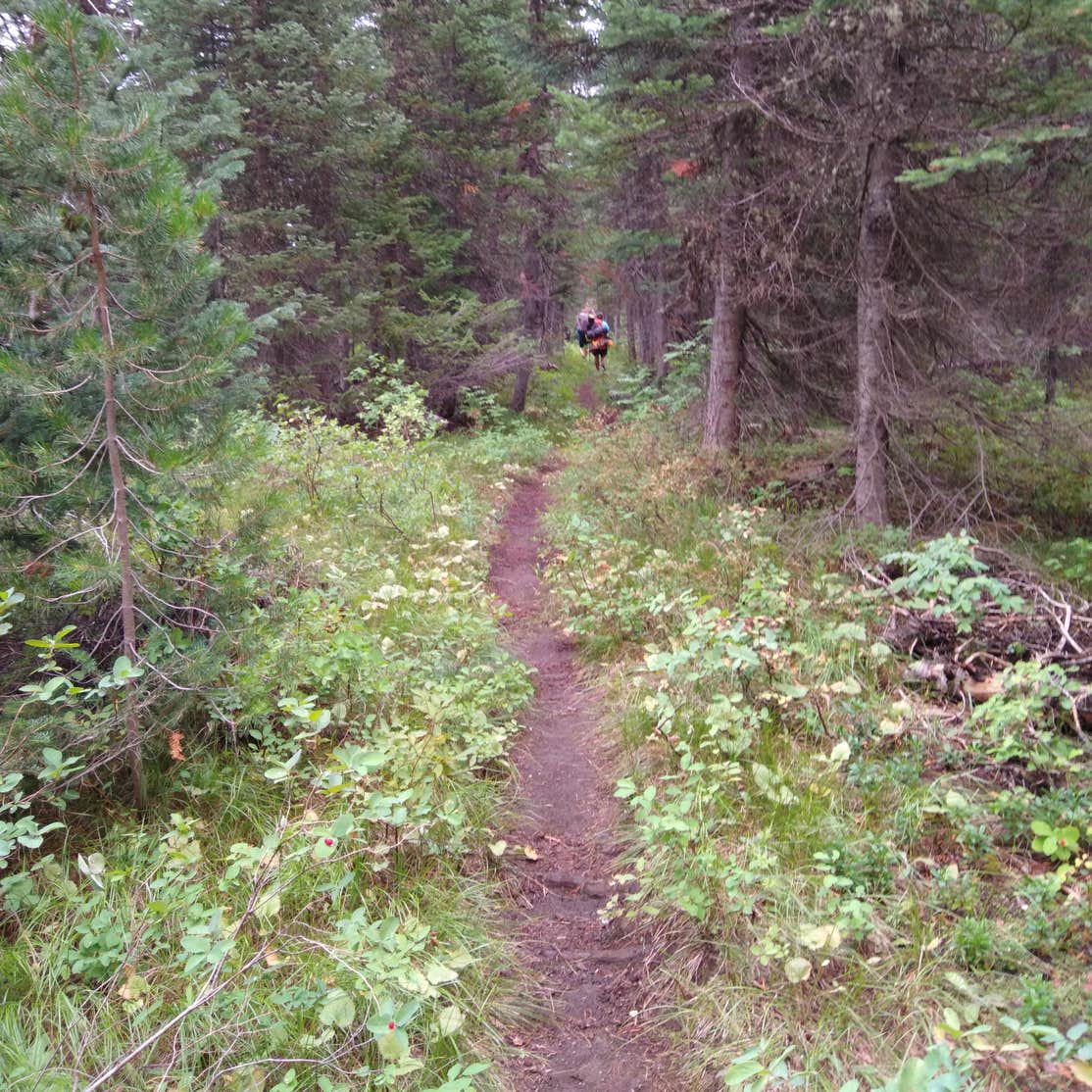 9F1 Yellowstone National Park Backcountry — Yellowstone National Park ...