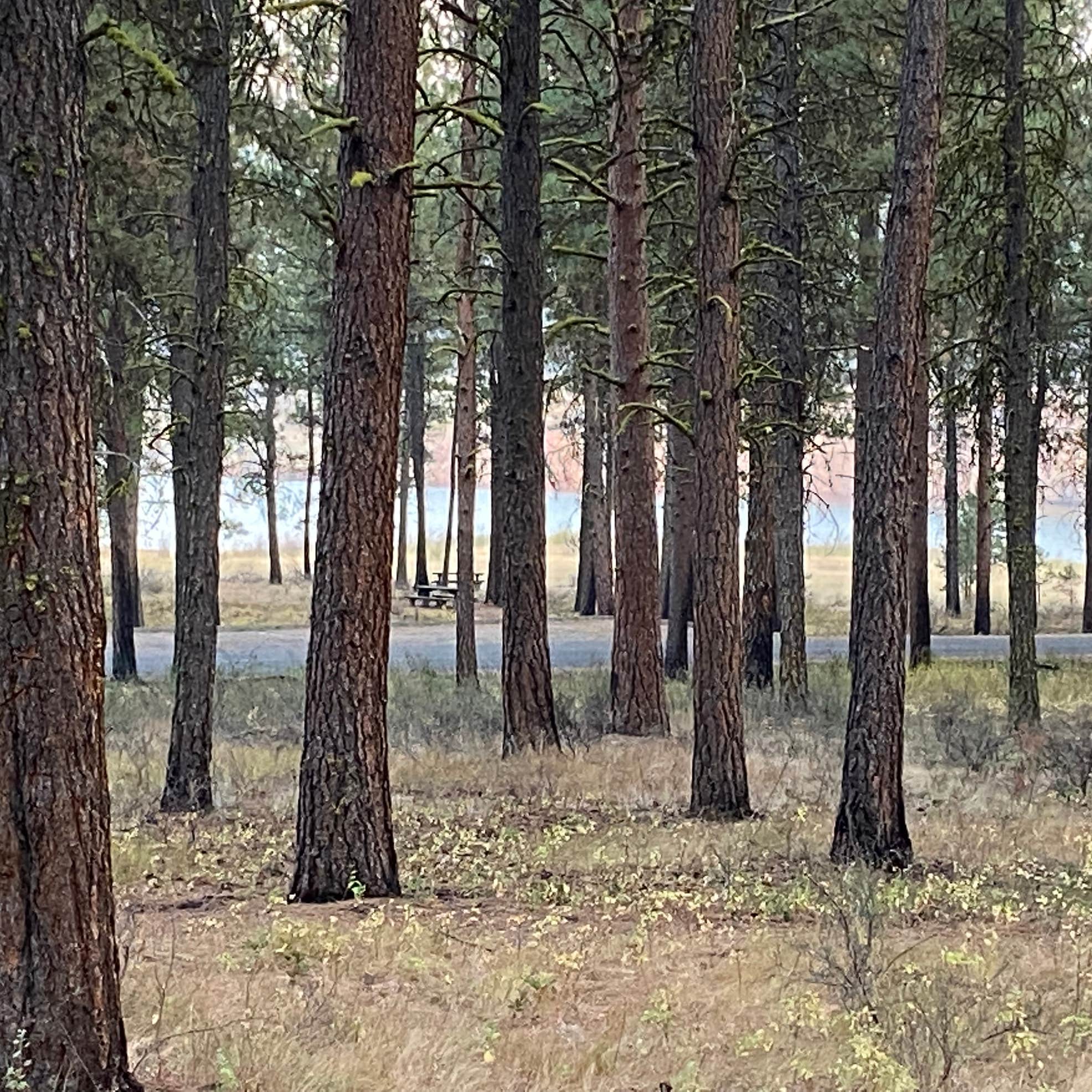 Union Creek Campground | Unity, Oregon