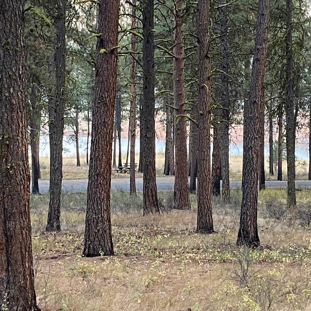 Union Creek Campground | Unity, Oregon