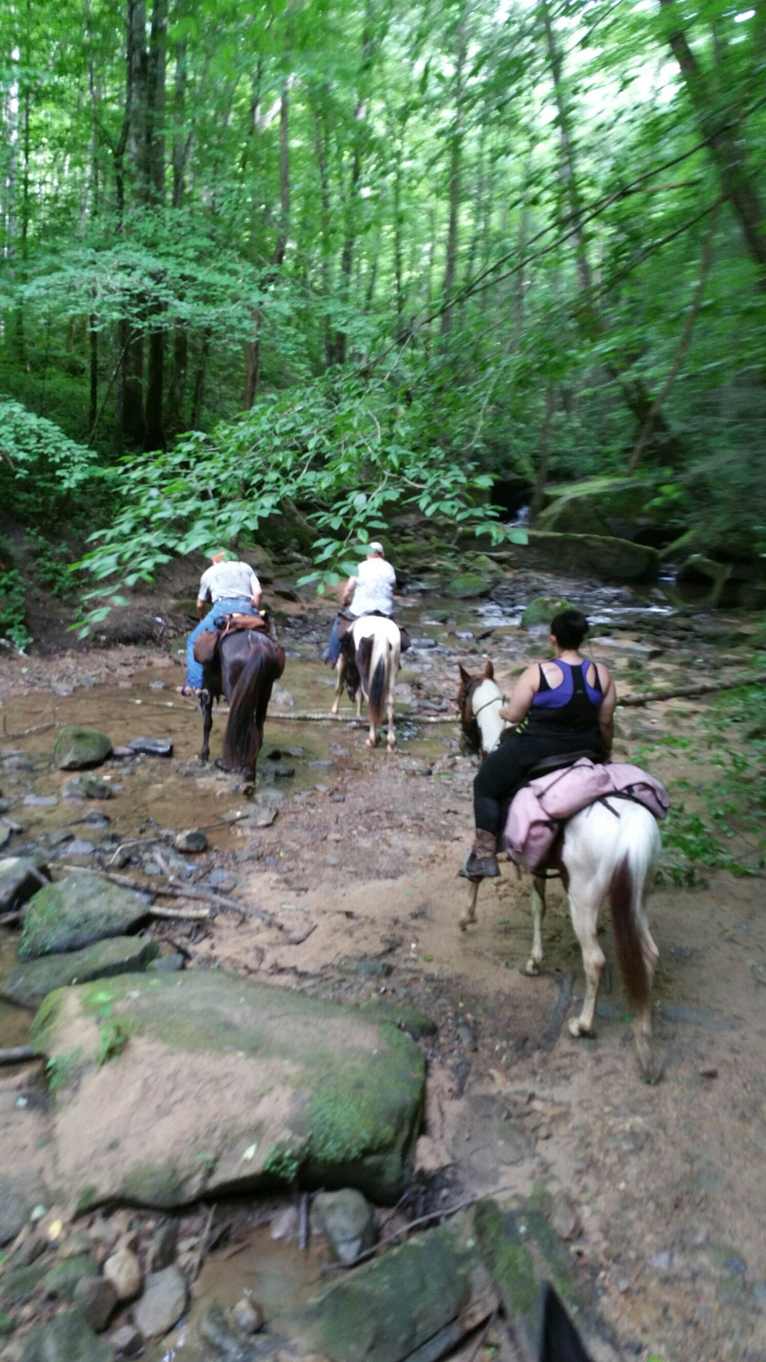 Station Camp Horse Campground — Big South Fork National River and ...