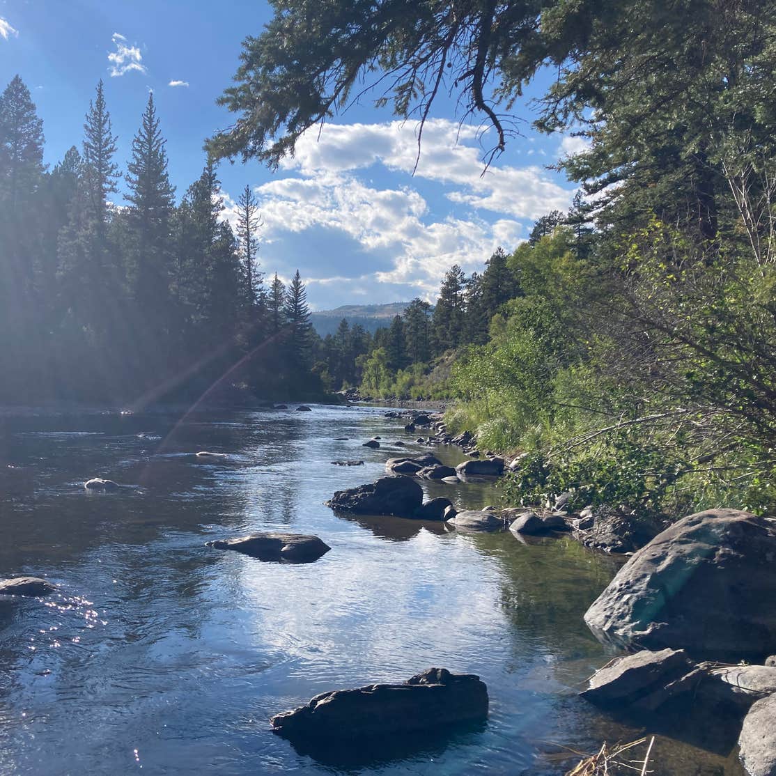 Aspen Glade (rio Grande National Forest, Co) Camping | Antonito, Colorado