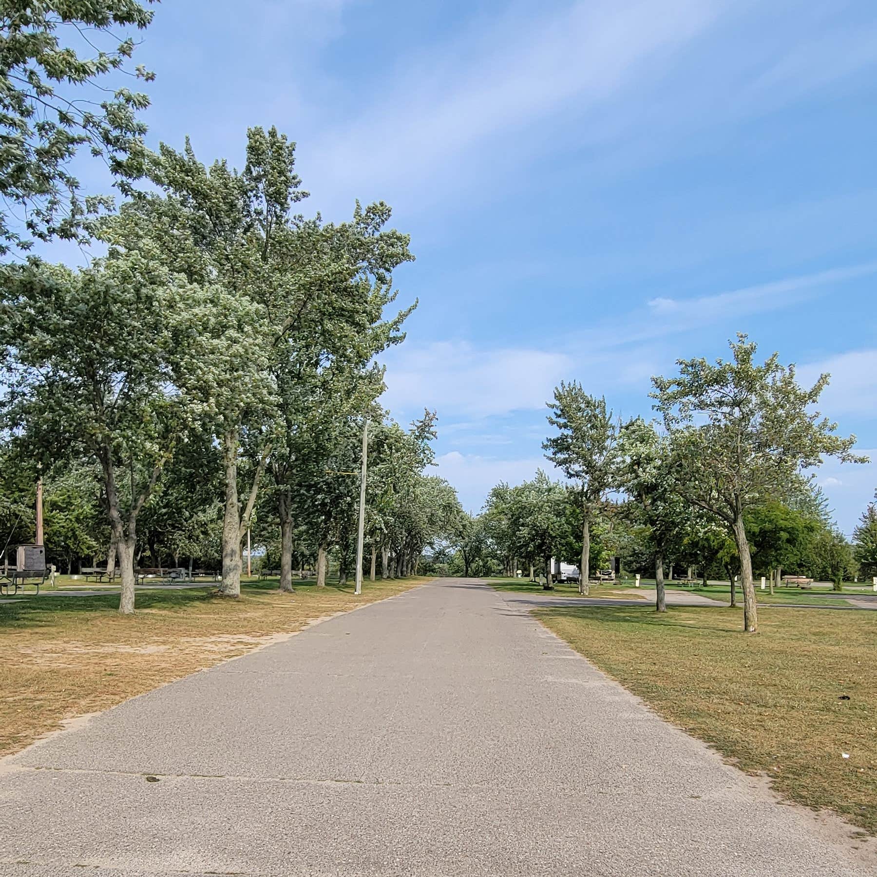 Camp Dearborn | Milford, Michigan