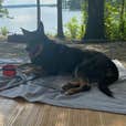 Dames Ferry State Park Campground | Juliette, Georgia