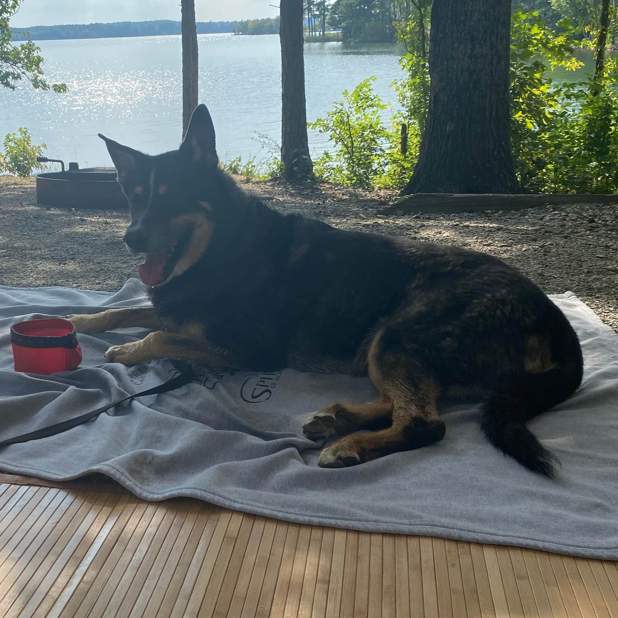 Dames Ferry State Park Campground | Juliette, Georgia