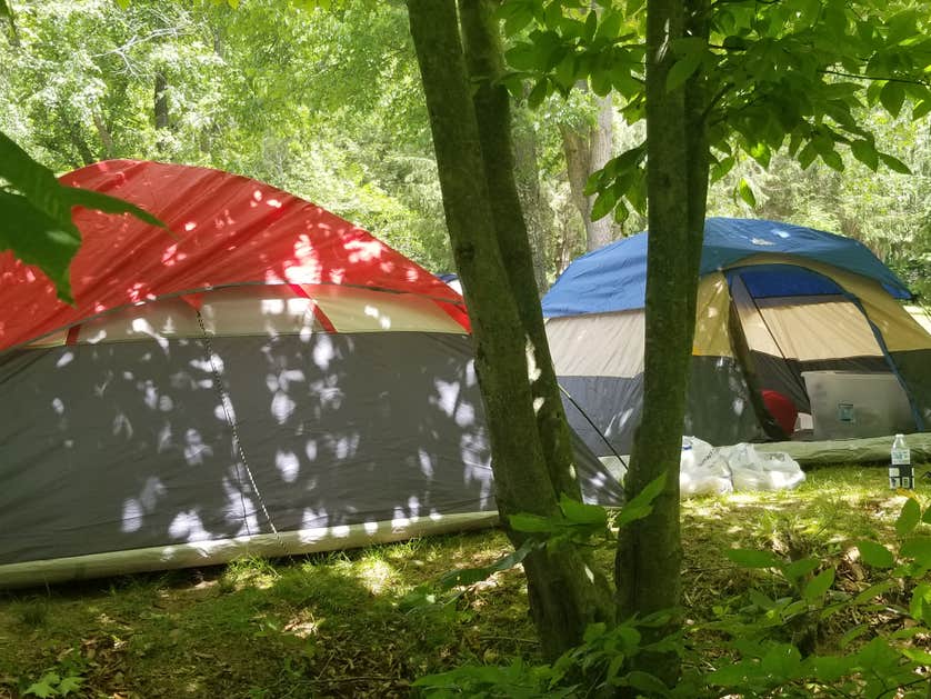Beaverkill Campground | The Dyrt