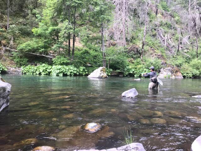 Cattle Camp Campground | McCloud, CA
