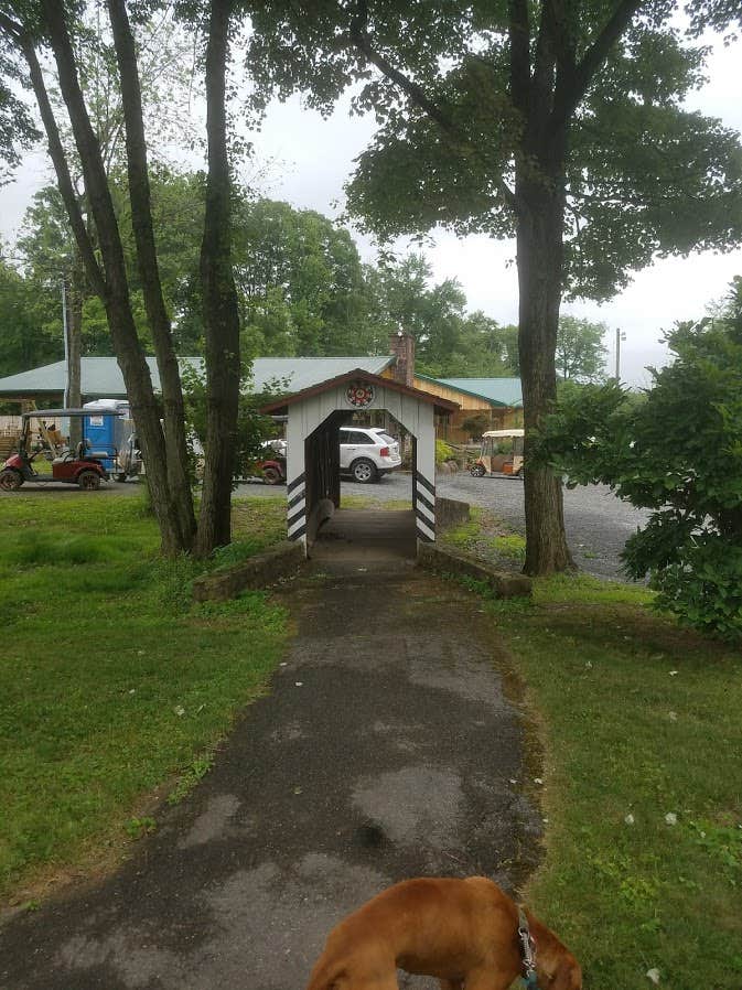 Shady Grove Campground | The Dyrt