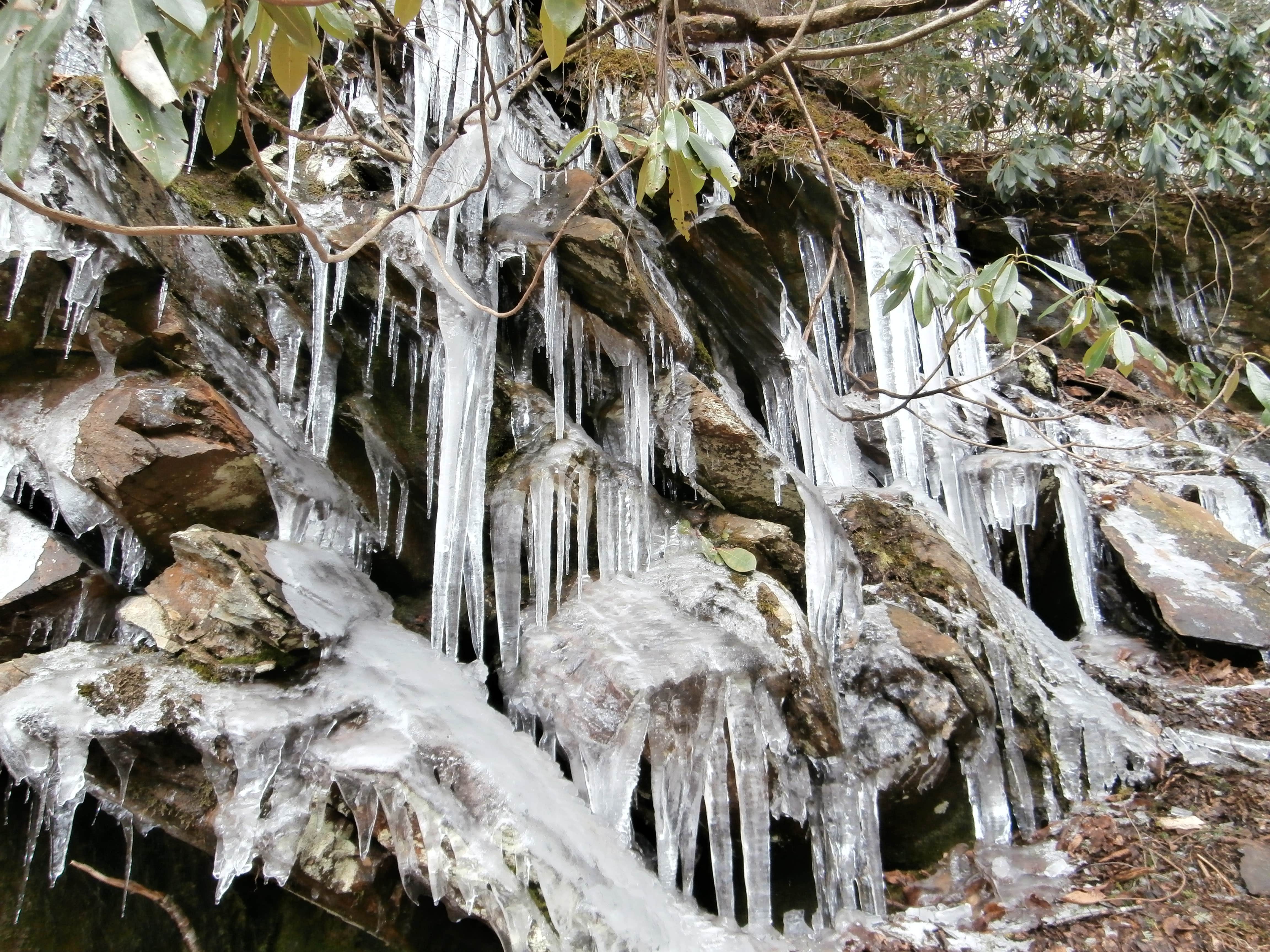 Abrams Creek Campground — Great Smoky Mountains National Park ...