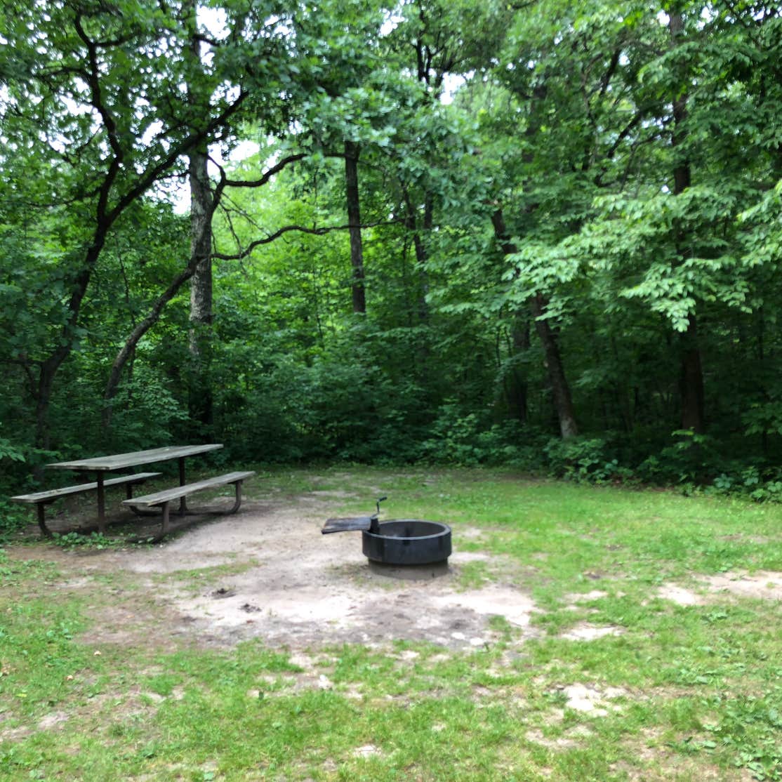 Crow Wing State Park Camping | The Dyrt