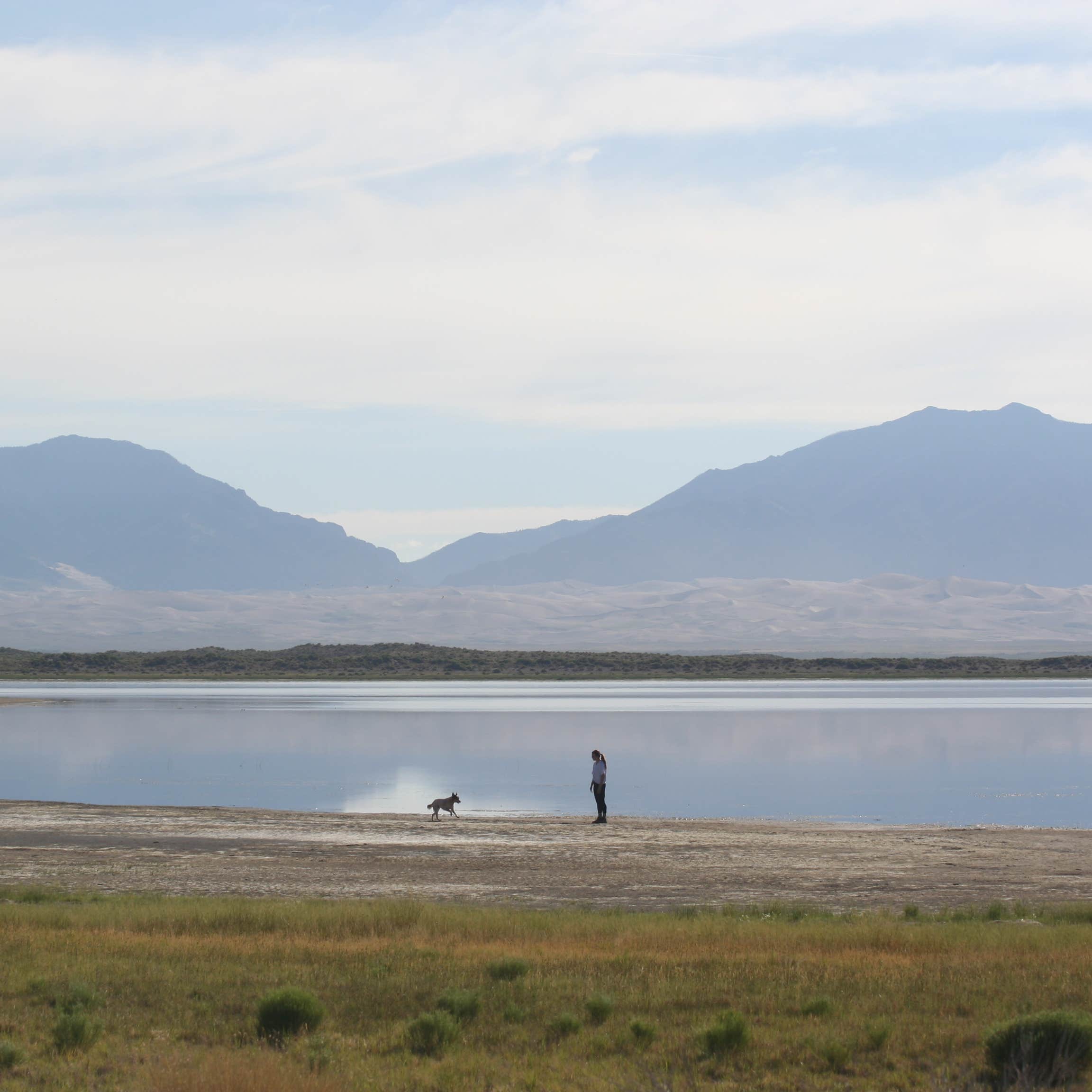 Mosca Campground Camping | The Dyrt